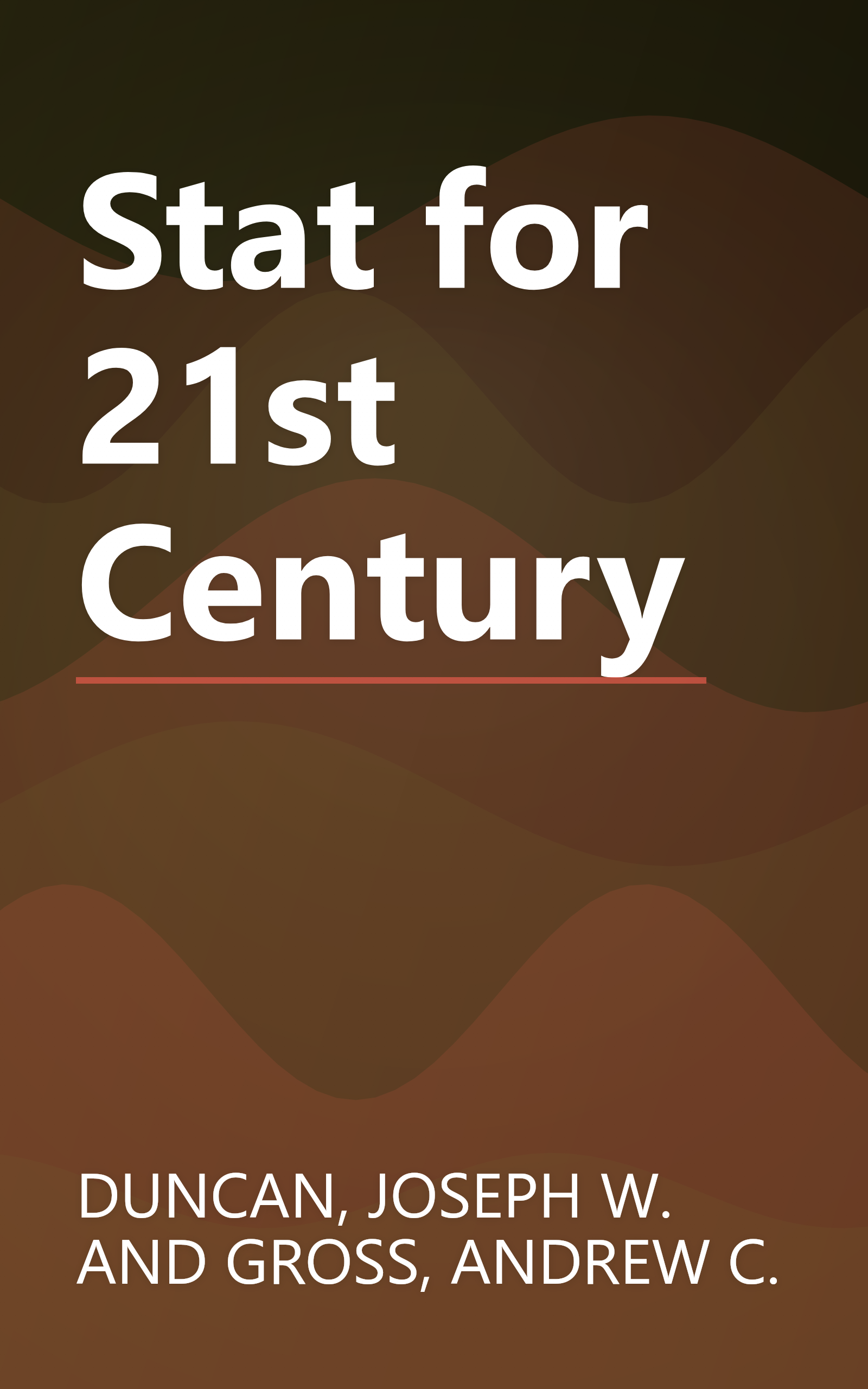 Stat for 21st Century book cover