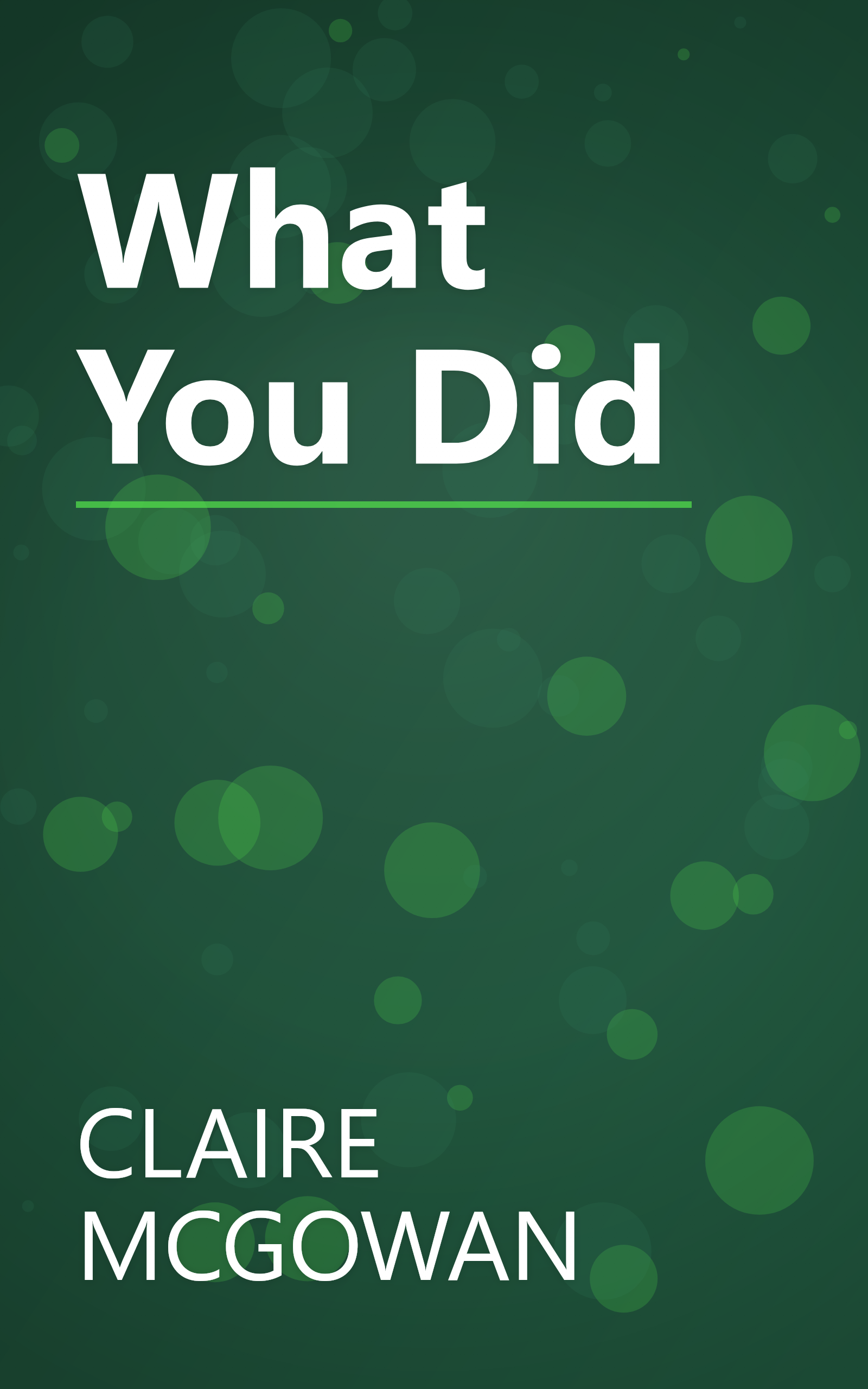 What You Did book cover
