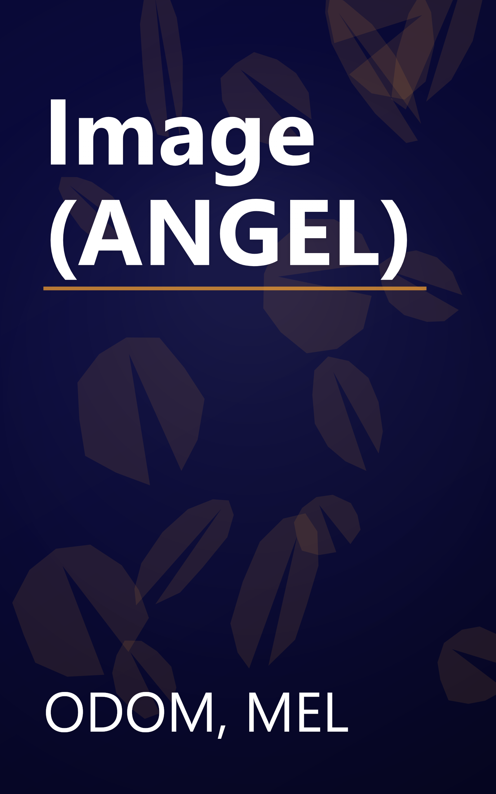 Image (ANGEL) book cover