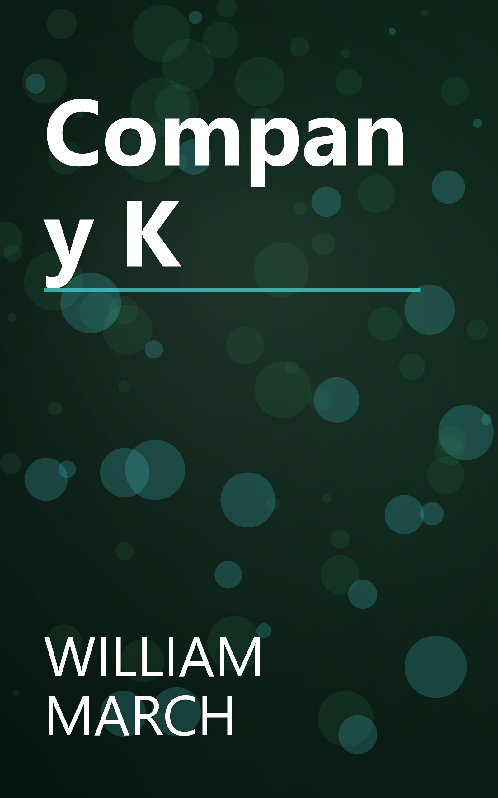 Company K book cover