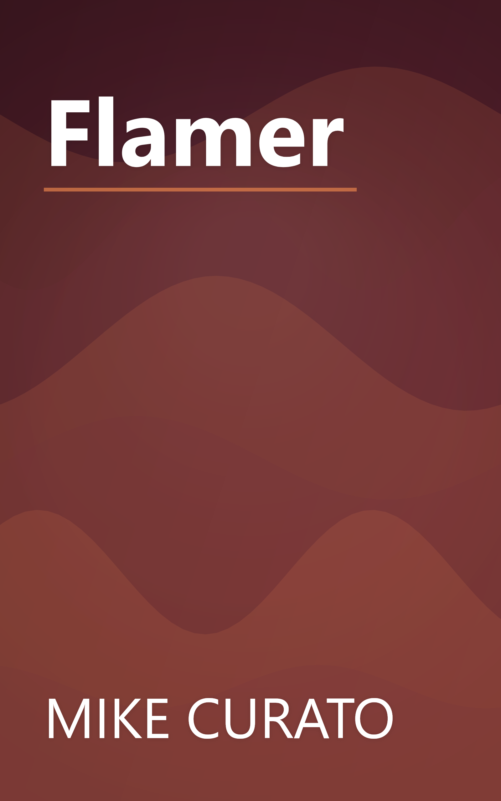 Flamer book cover