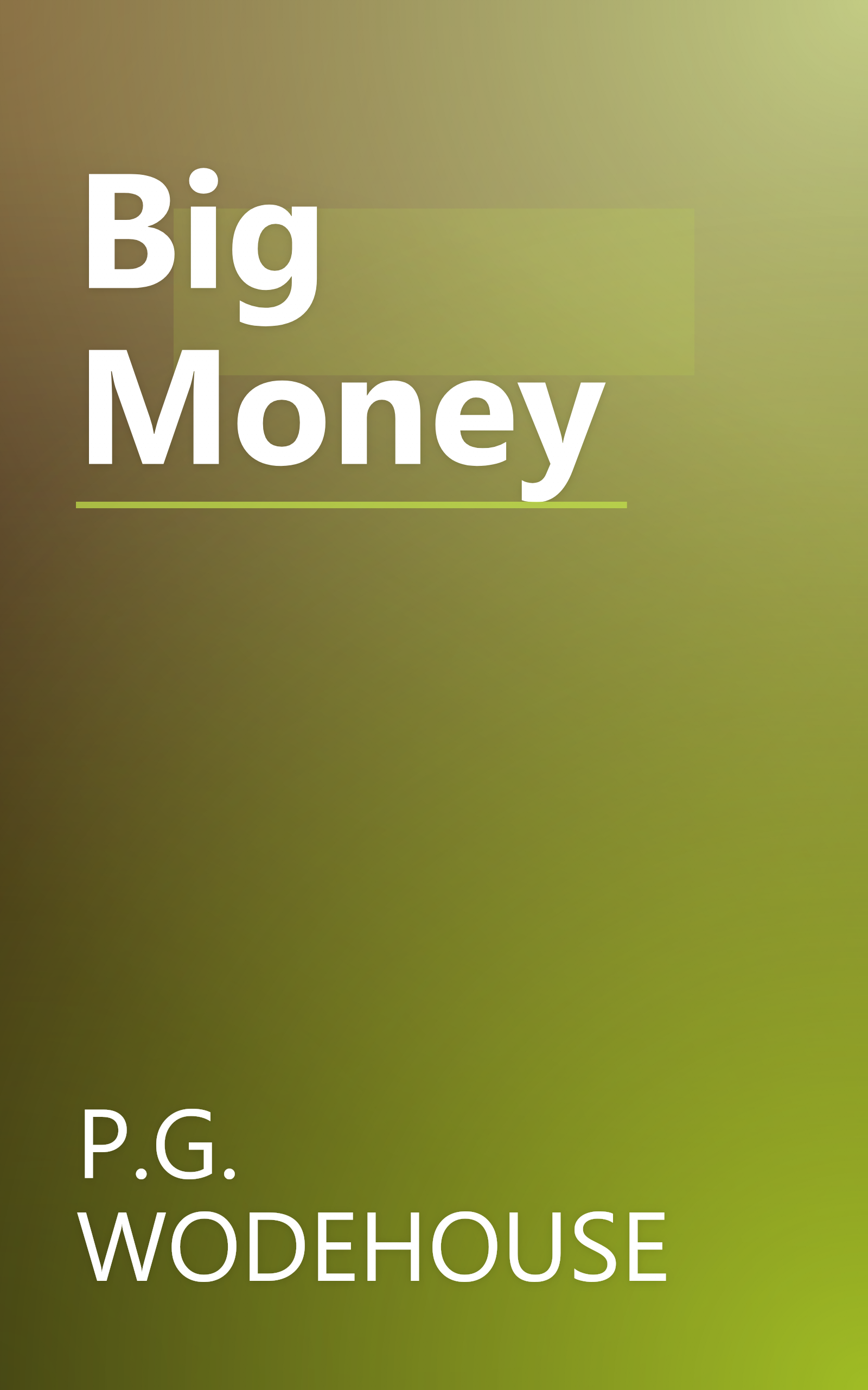 Big Money book cover