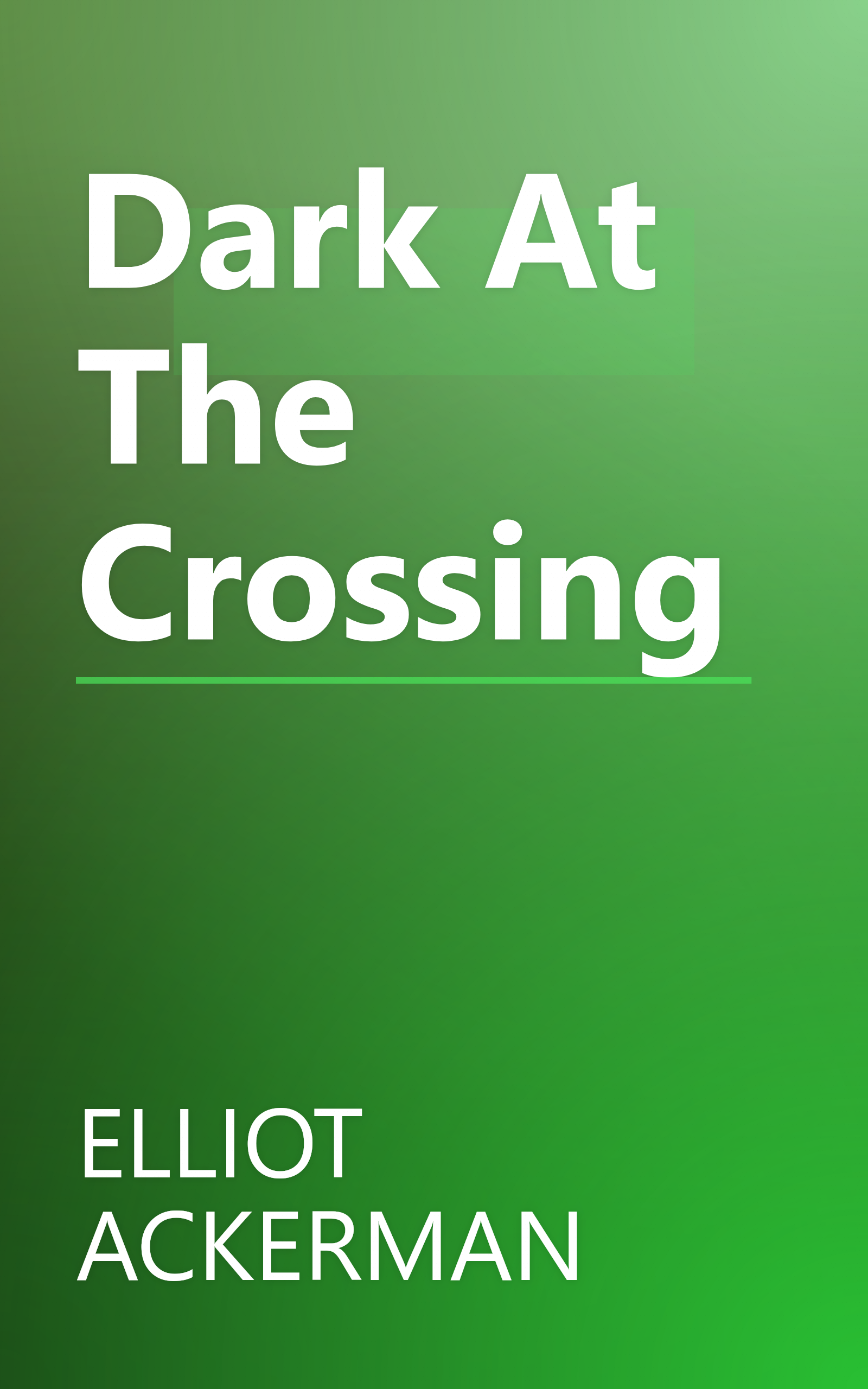 Dark At The Crossing book cover