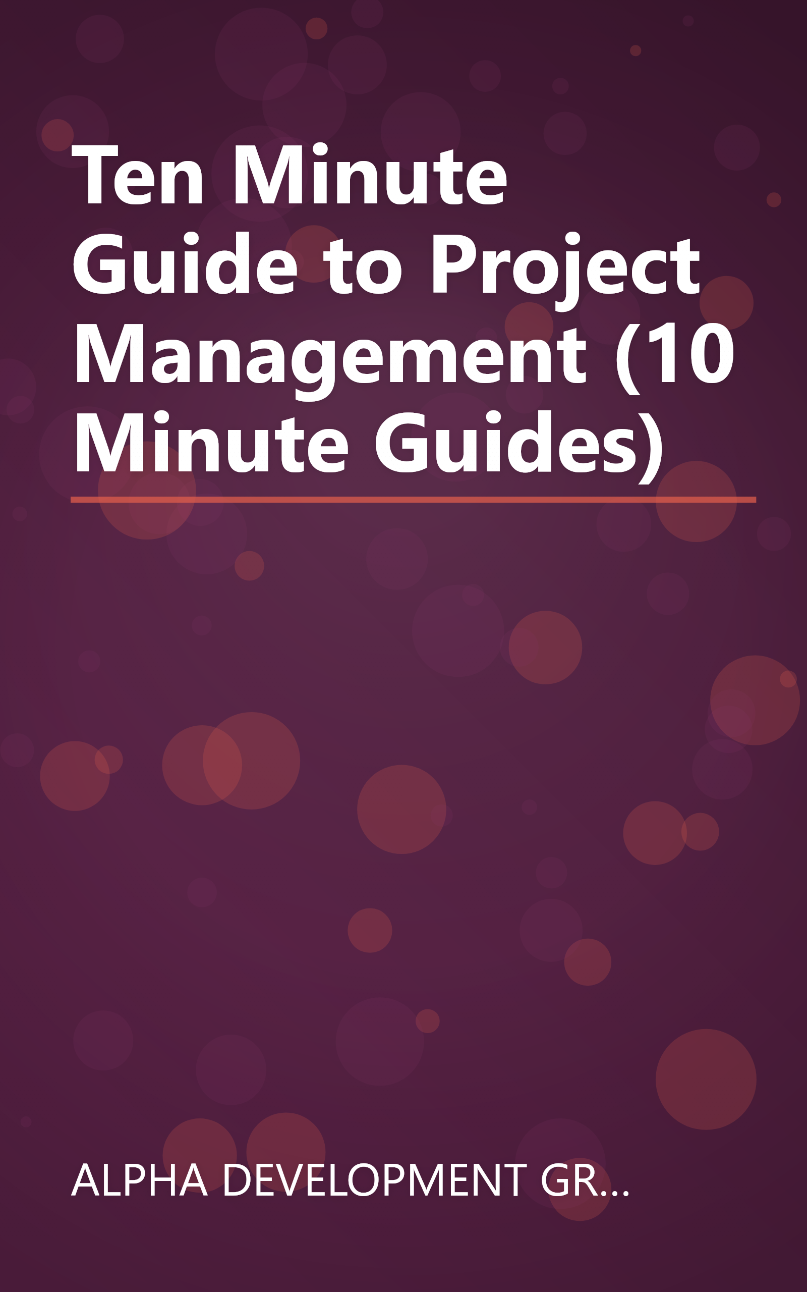 Ten Minute Guide to Project Management (10 Minute Guides) book cover