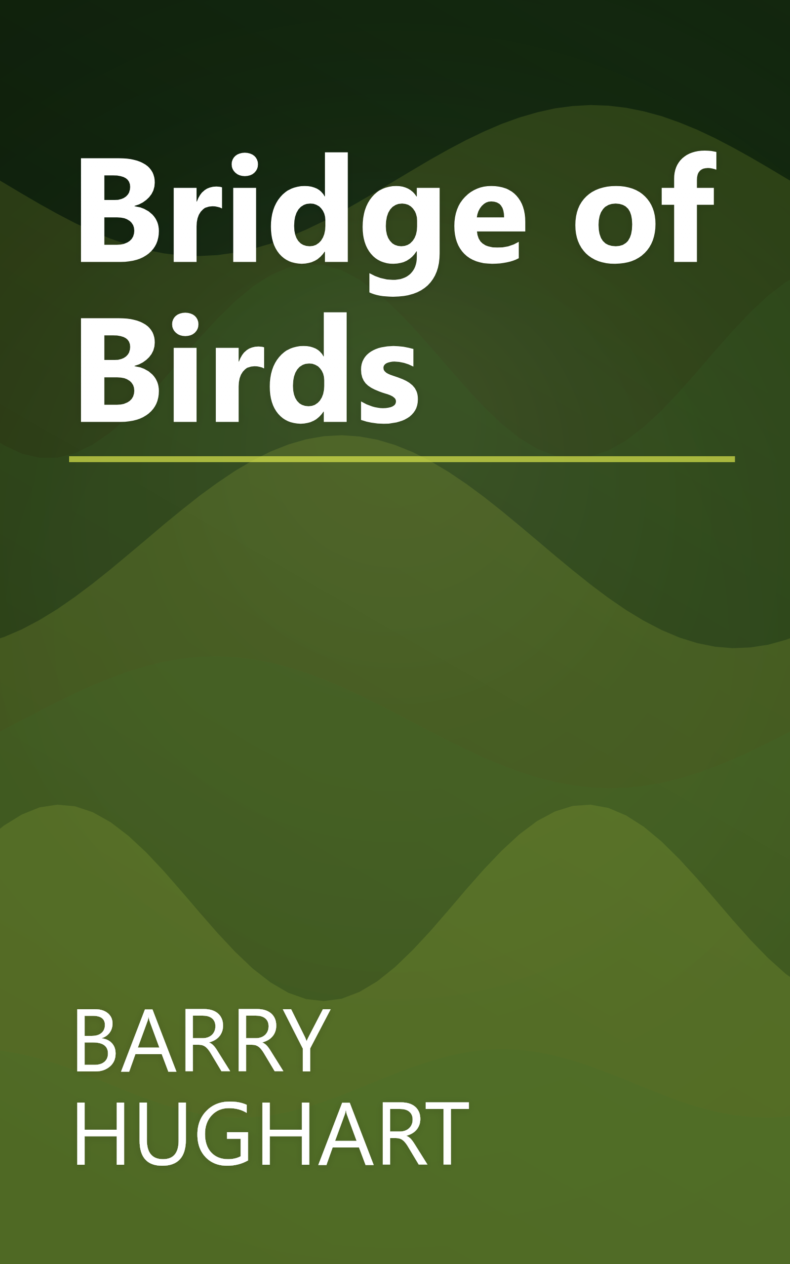 Bridge of Birds book cover