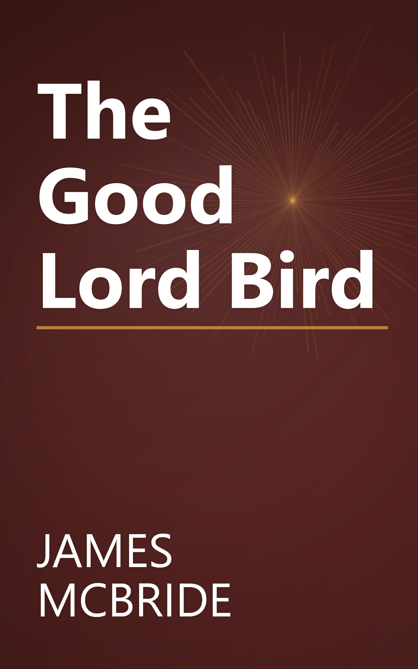 The Good Lord Bird book cover