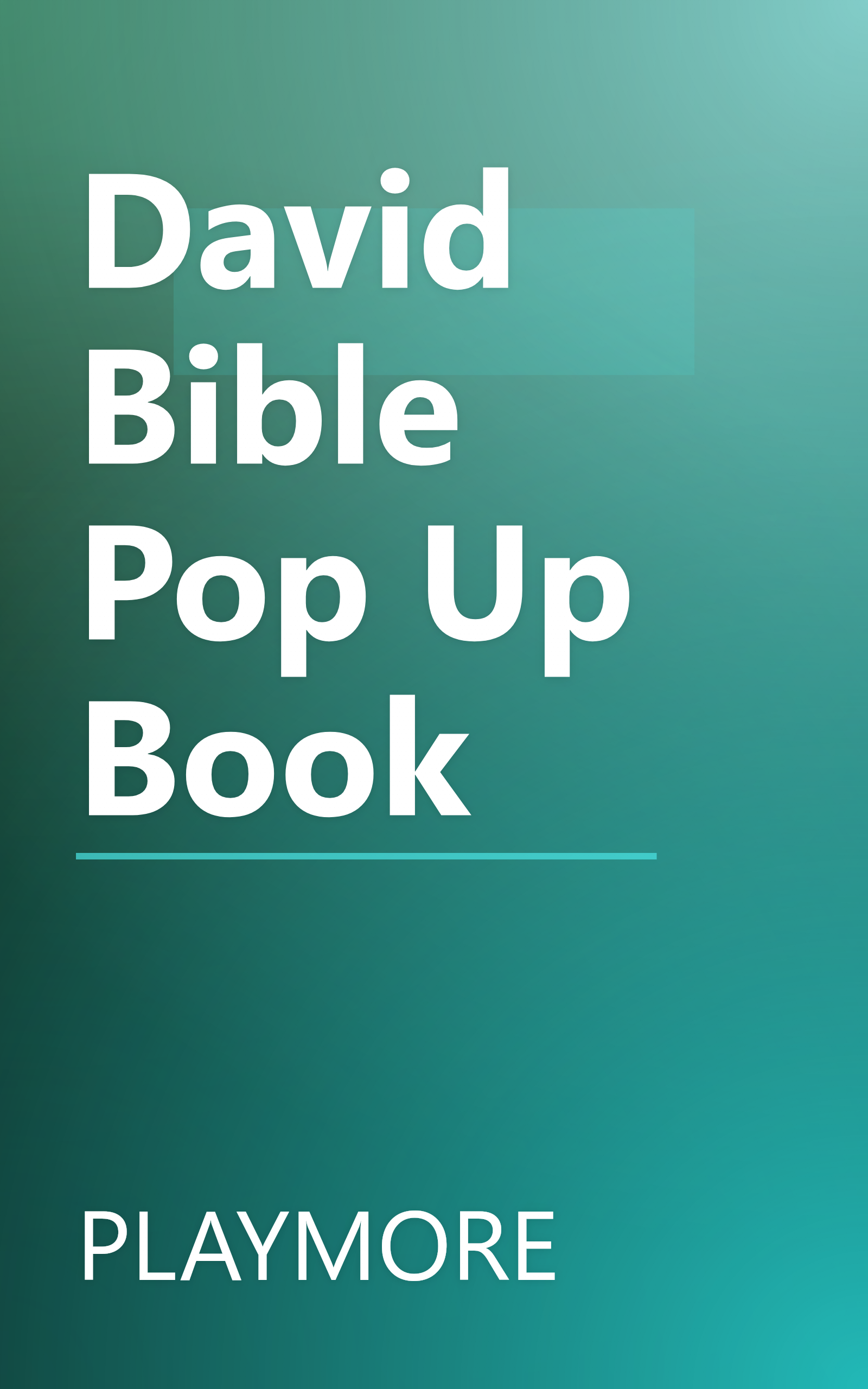 David Bible Pop Up Book book cover
