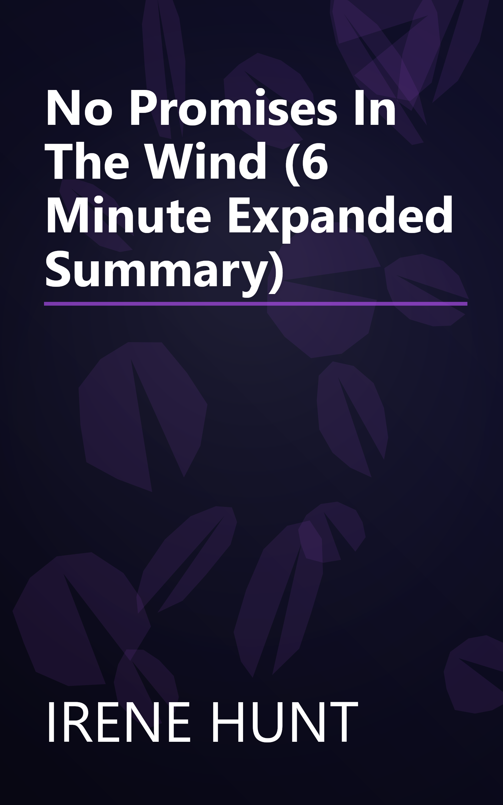 No Promises In The Wind (6 Minute   Expanded Summary) book cover