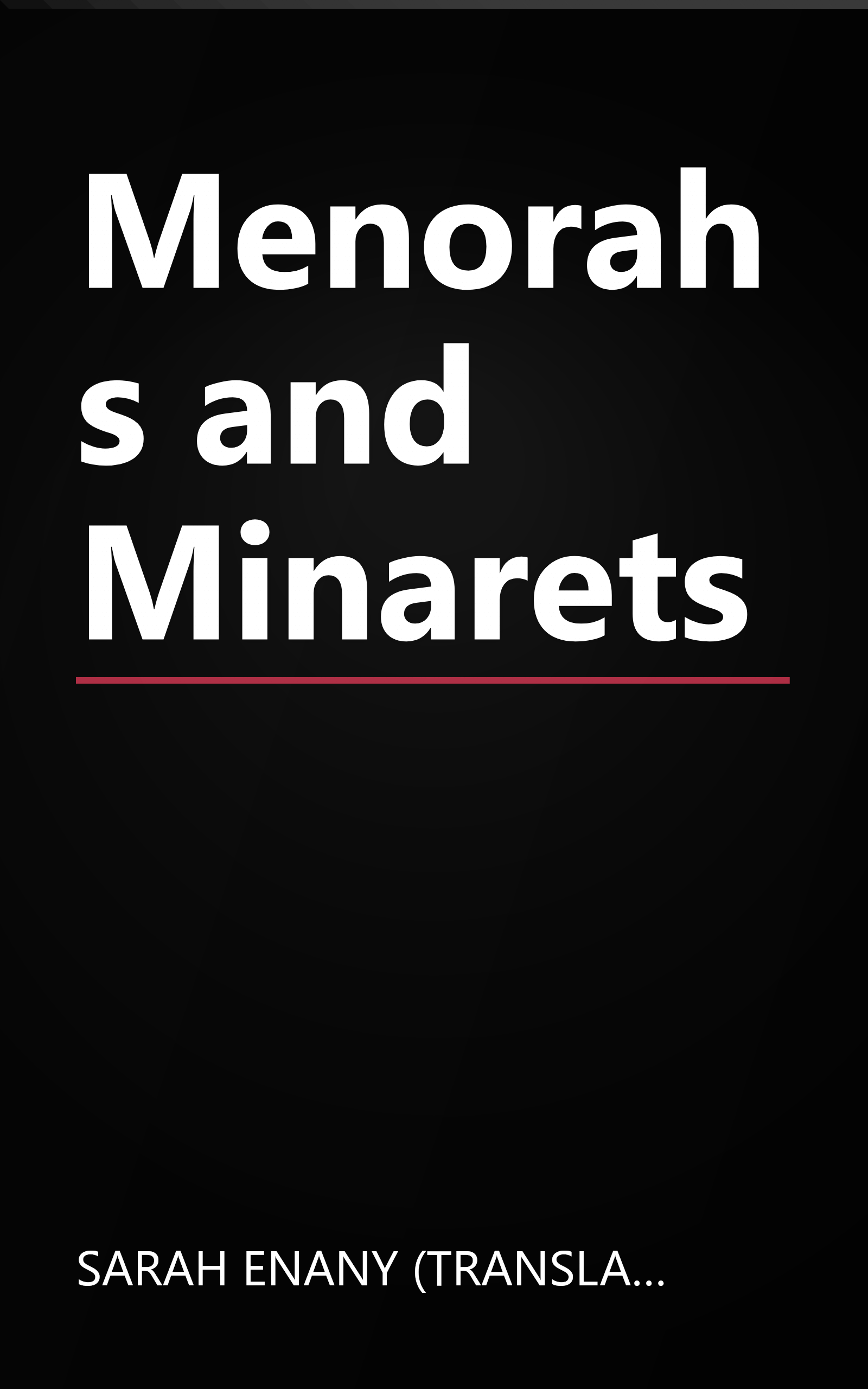 Menorahs and Minarets book cover