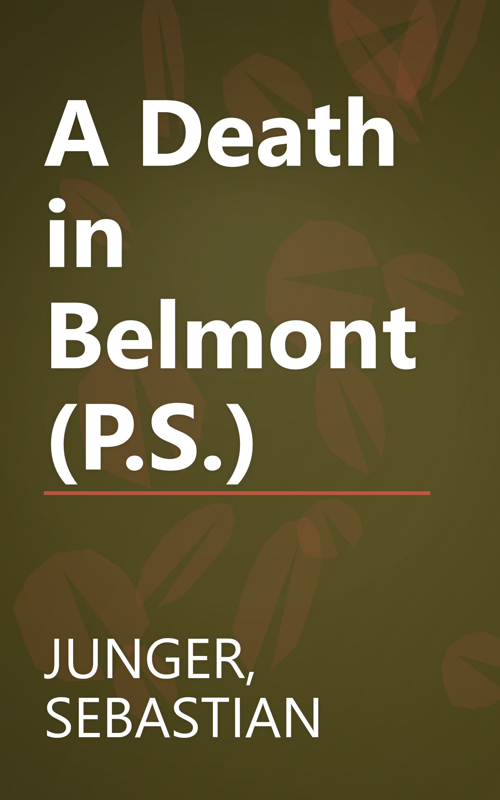 A Death in Belmont (P.S.) book cover