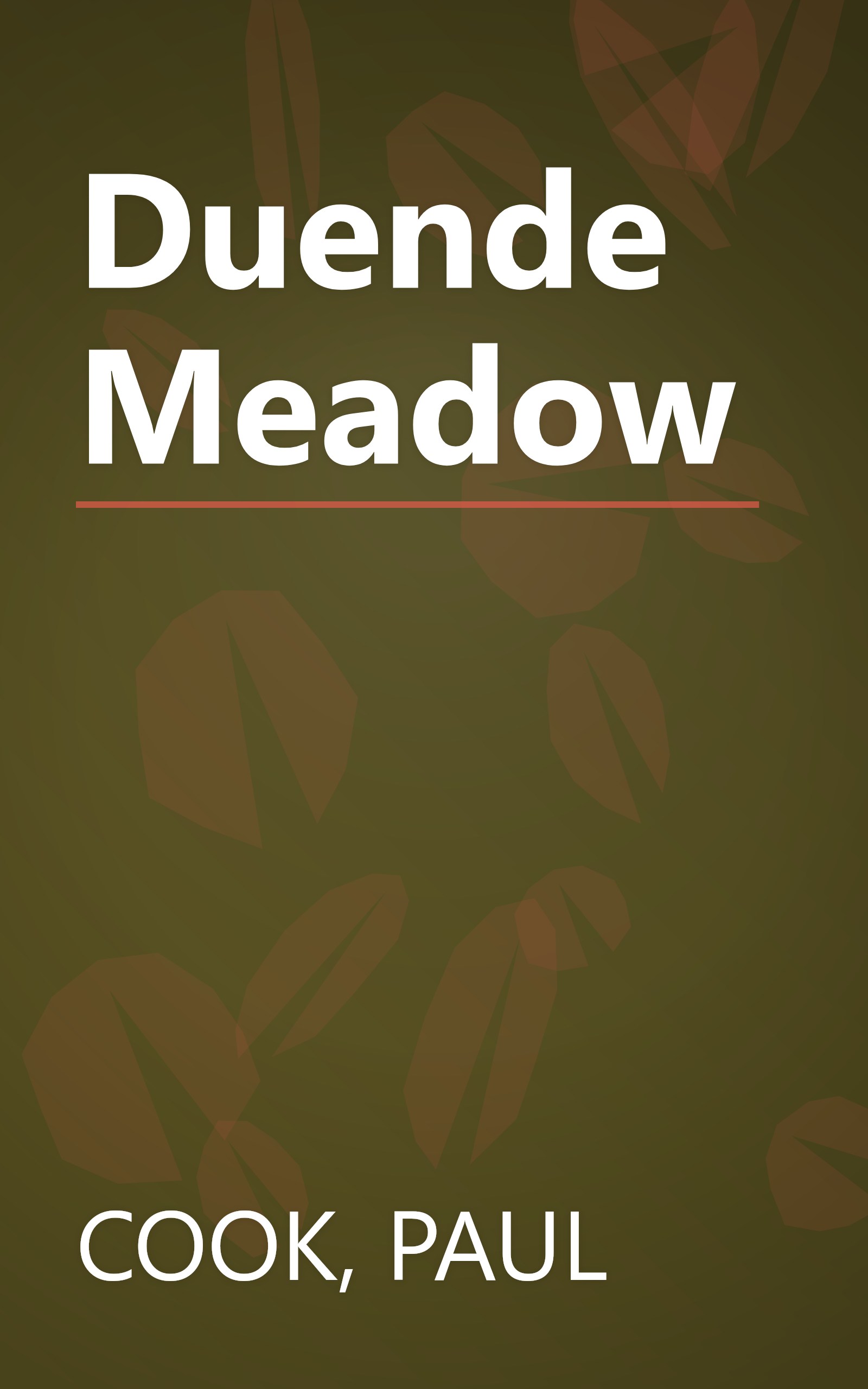 Duende Meadow book cover