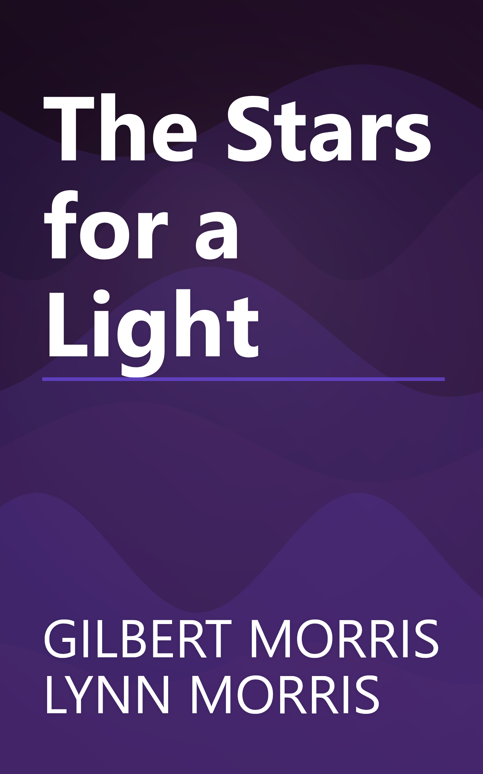The Stars for a Light book cover