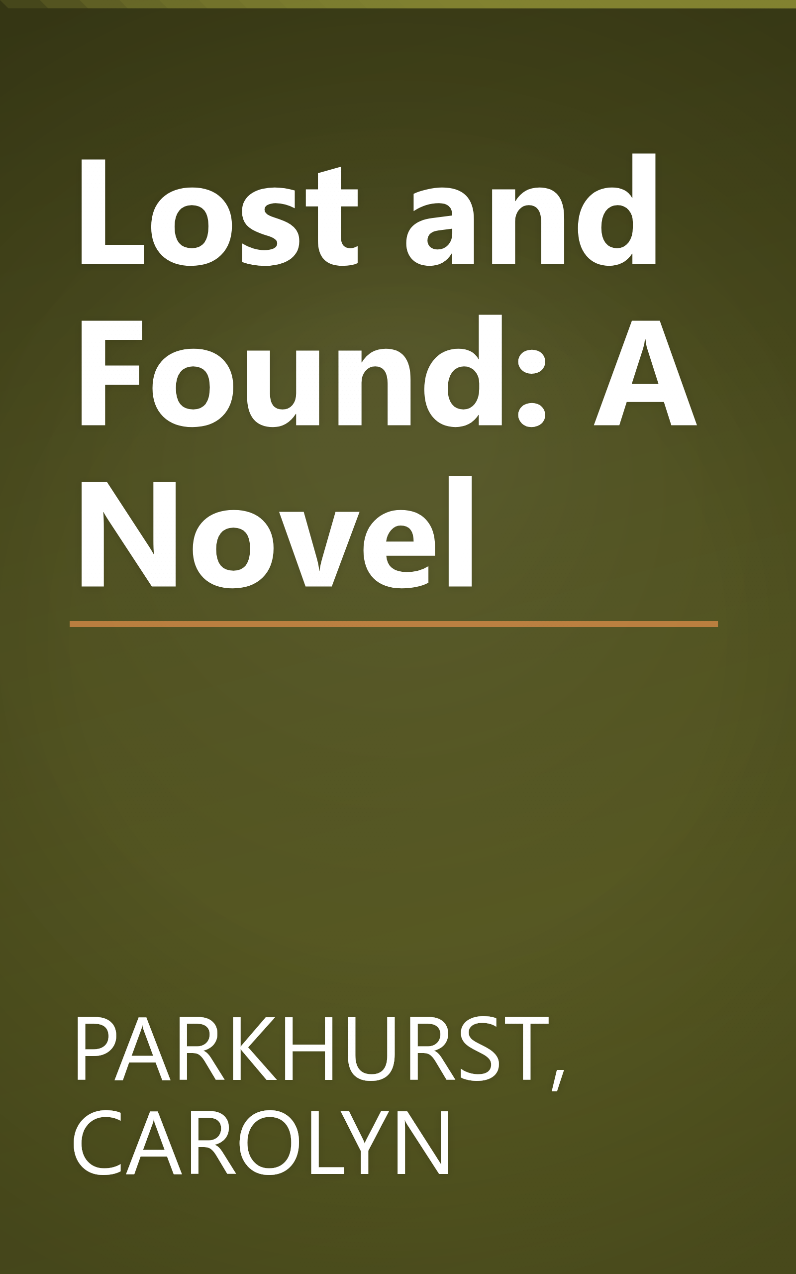 Lost and Found: A Novel book cover