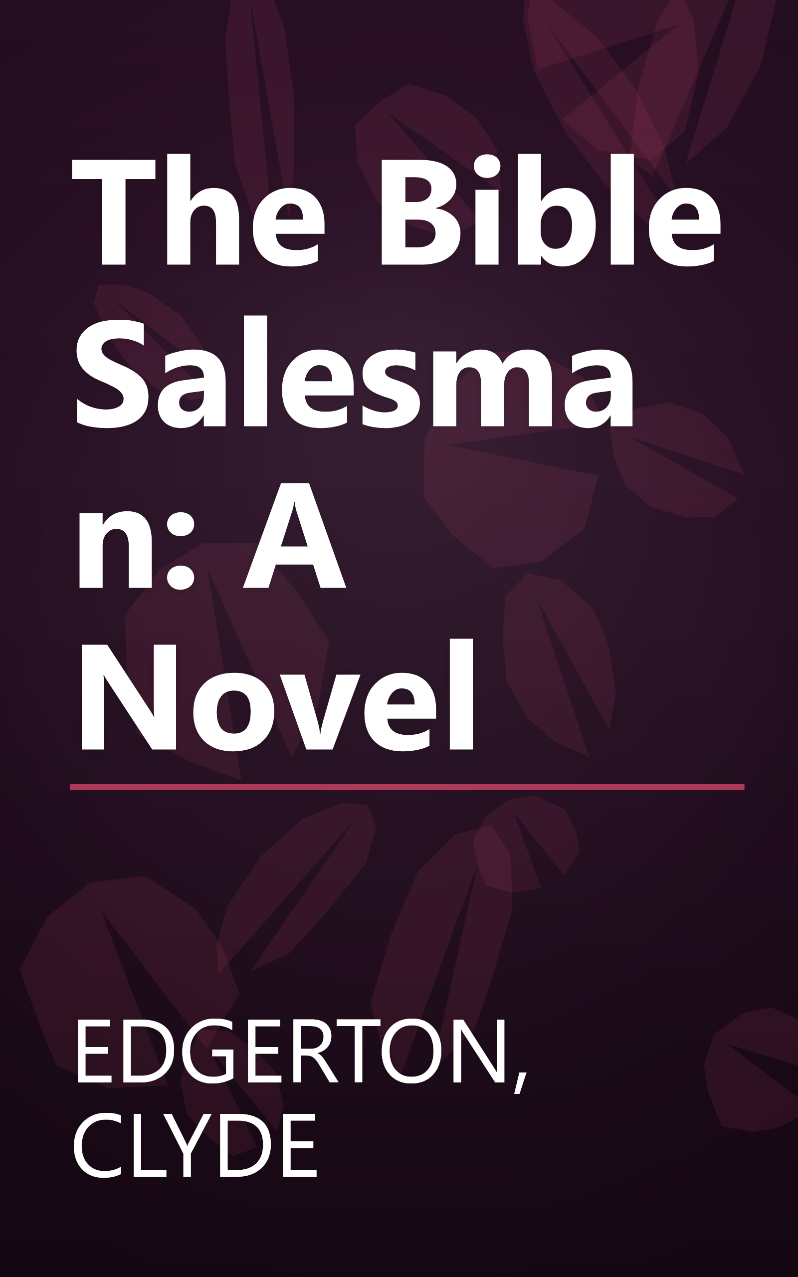 The Bible Salesman: A Novel book cover