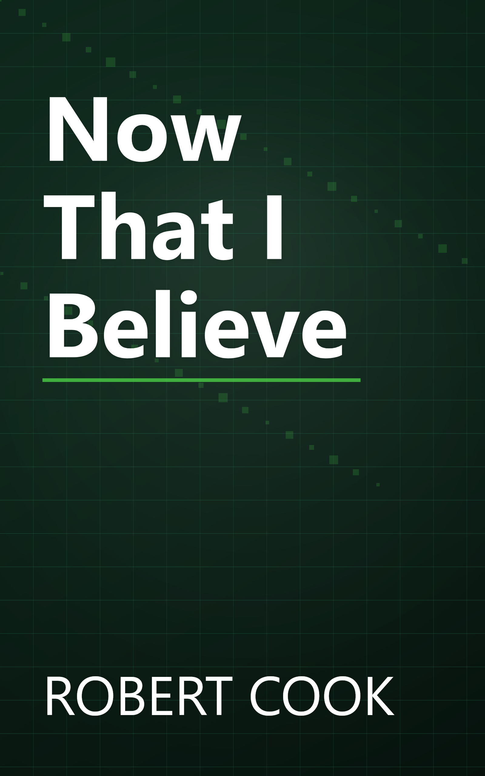 Now That I Believe book cover