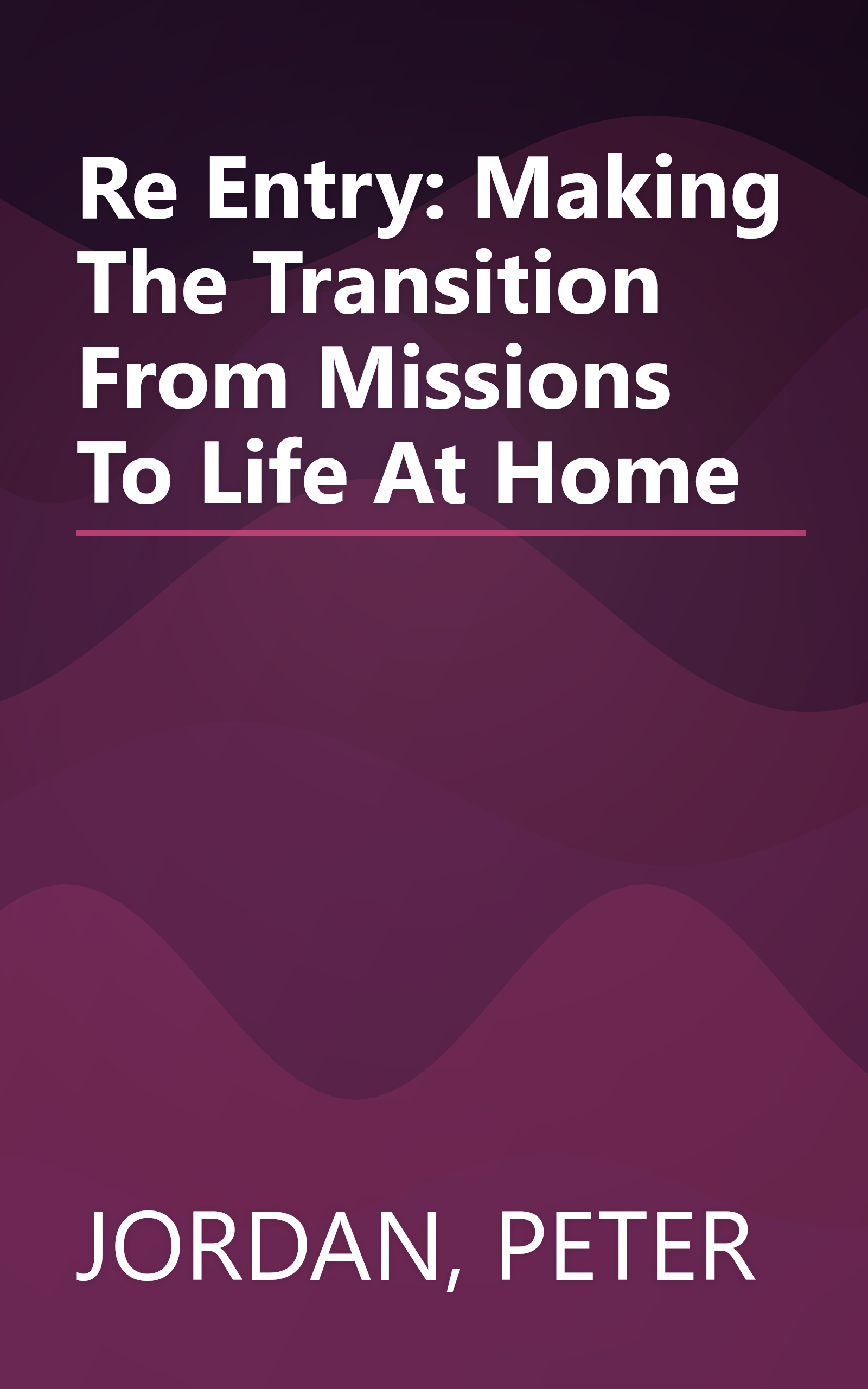 Re Entry: Making The Transition From Missions To Life At Home book cover