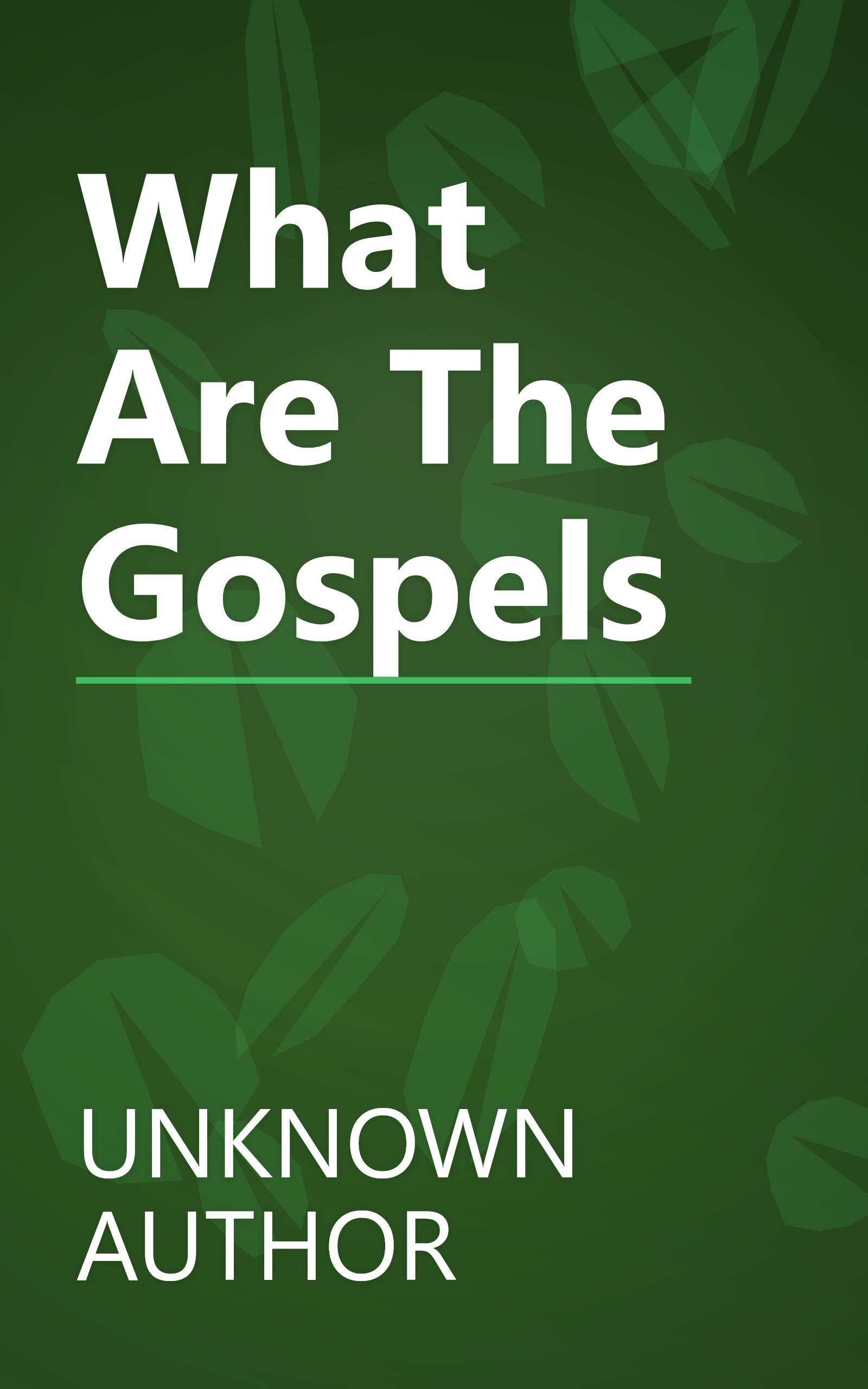 What Are The Gospels book cover