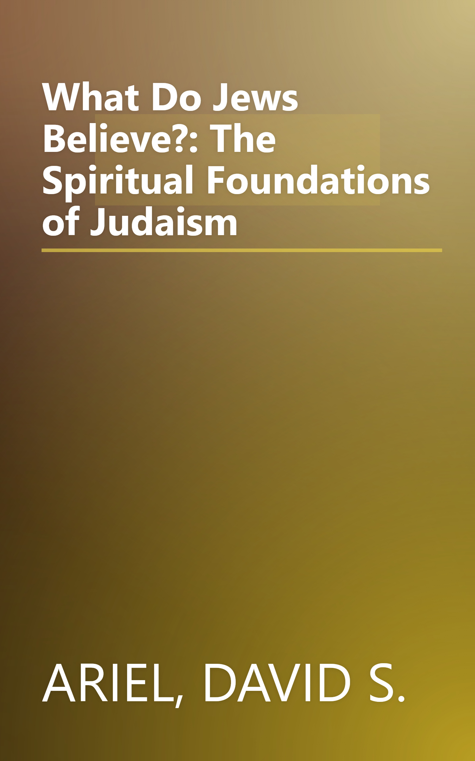 What Do Jews Believe?: The Spiritual Foundations of Judaism book cover