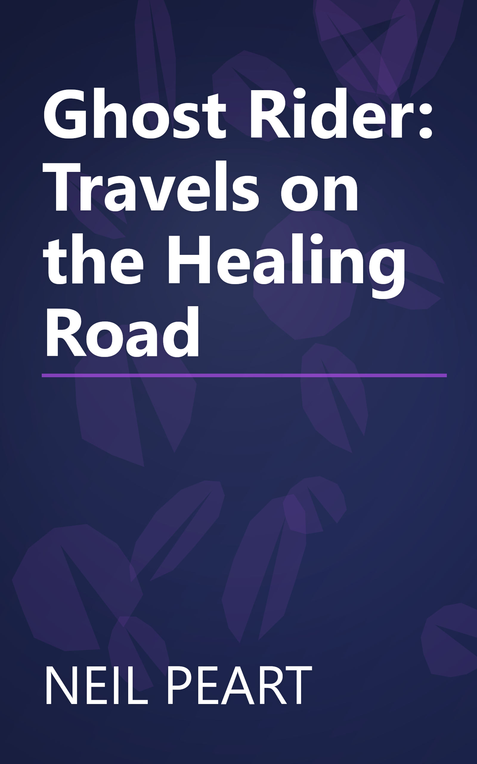 Ghost Rider: Travels on the Healing Road book cover