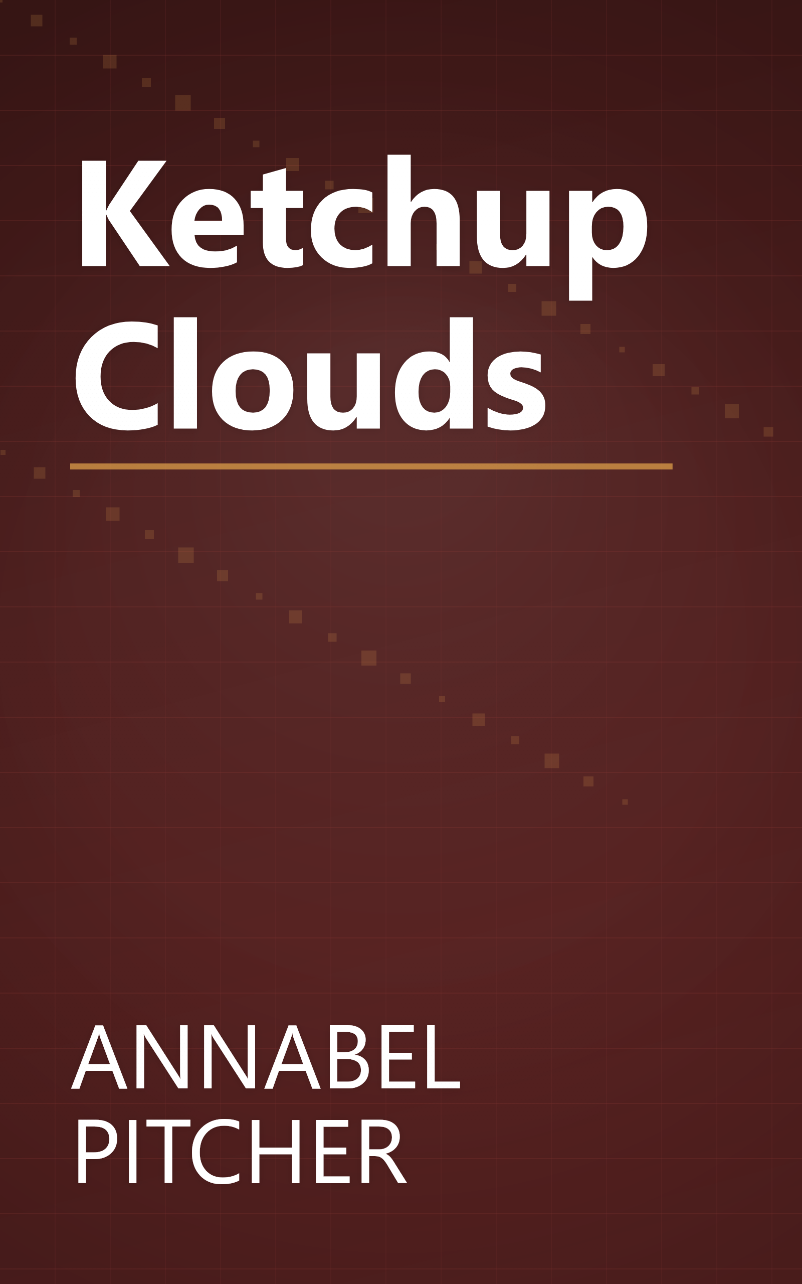Ketchup Clouds book cover