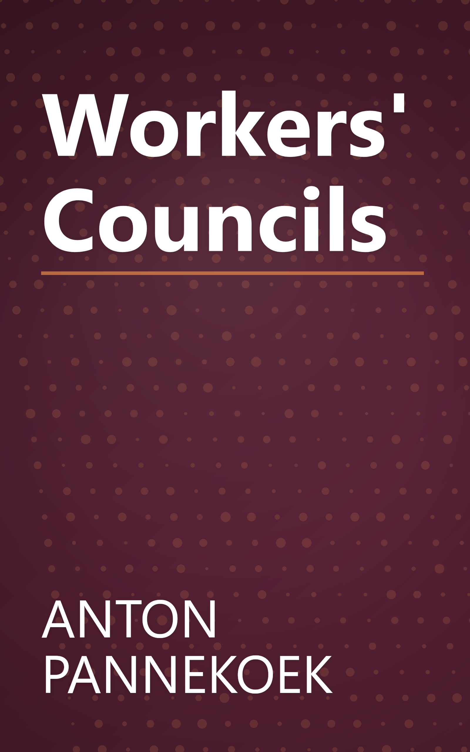 Workers' Councils book cover