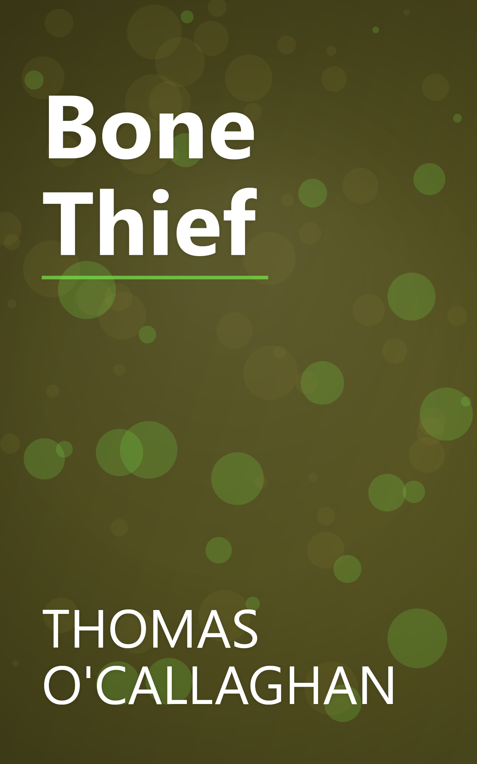 Bone Thief book cover