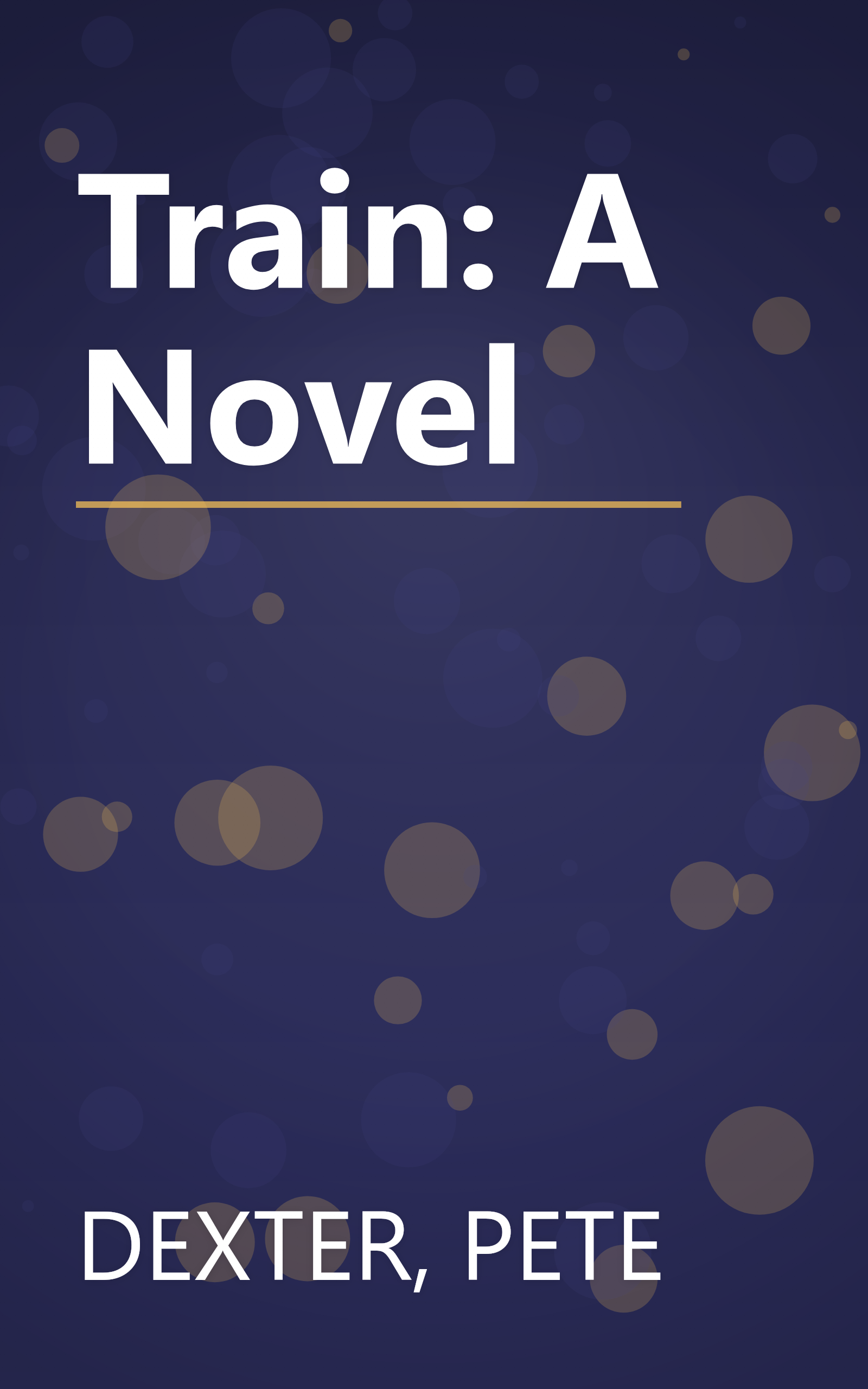 Train: A Novel book cover