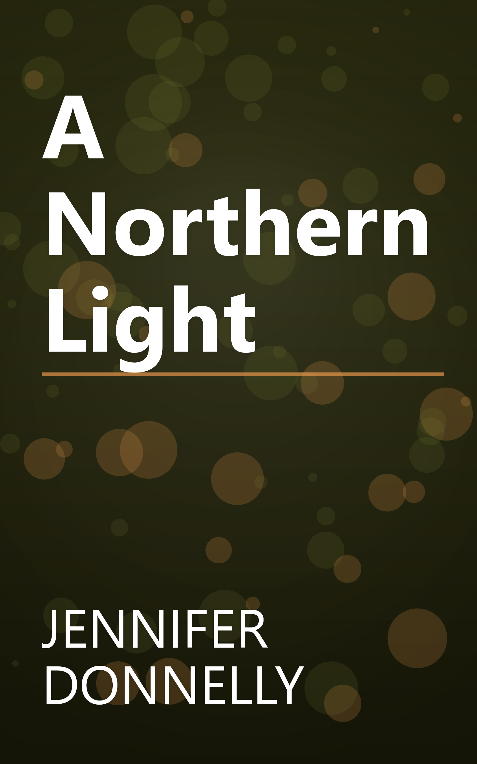 A Northern Light book cover