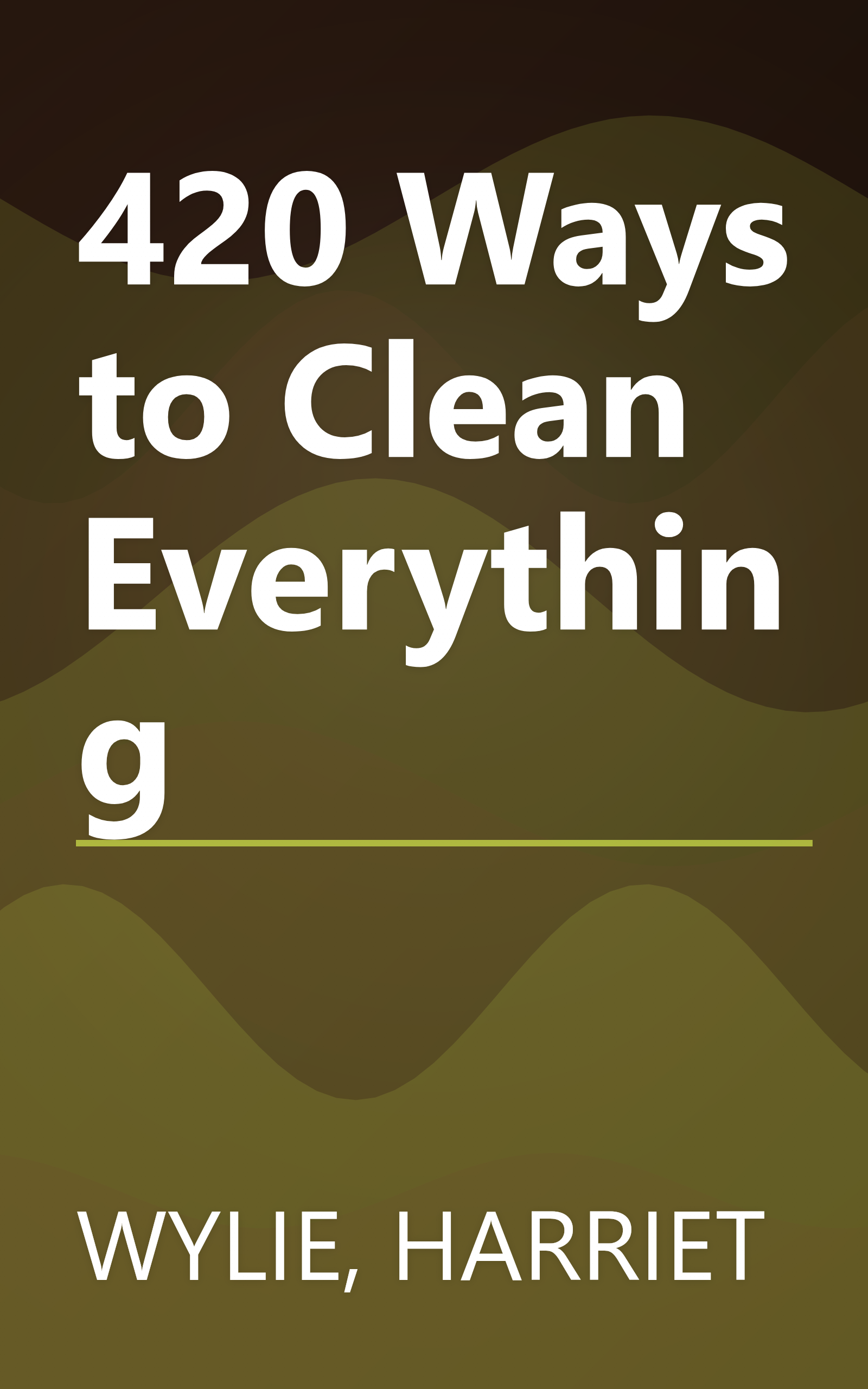 420 Ways to Clean Everything book cover