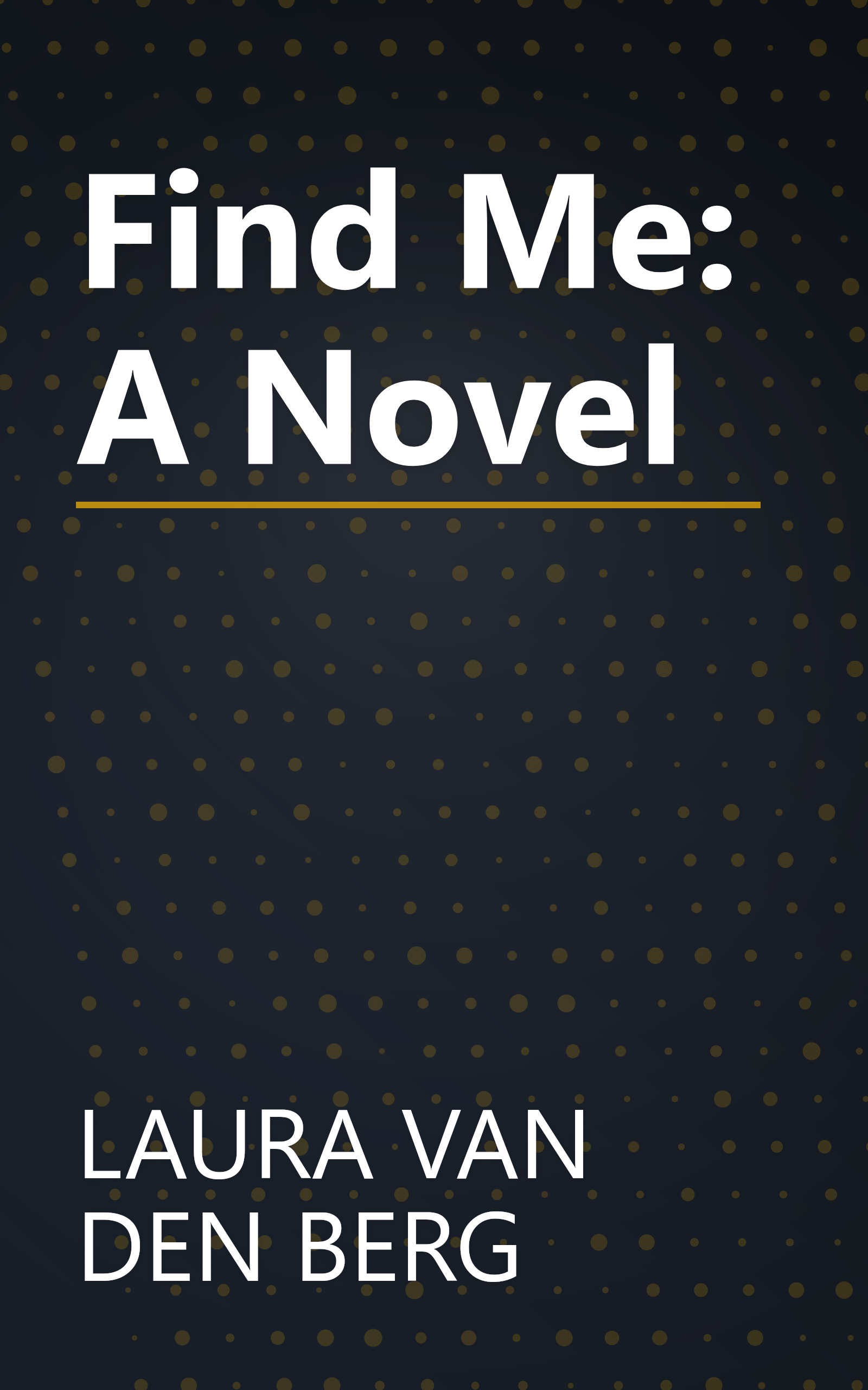 Find Me: A Novel book cover