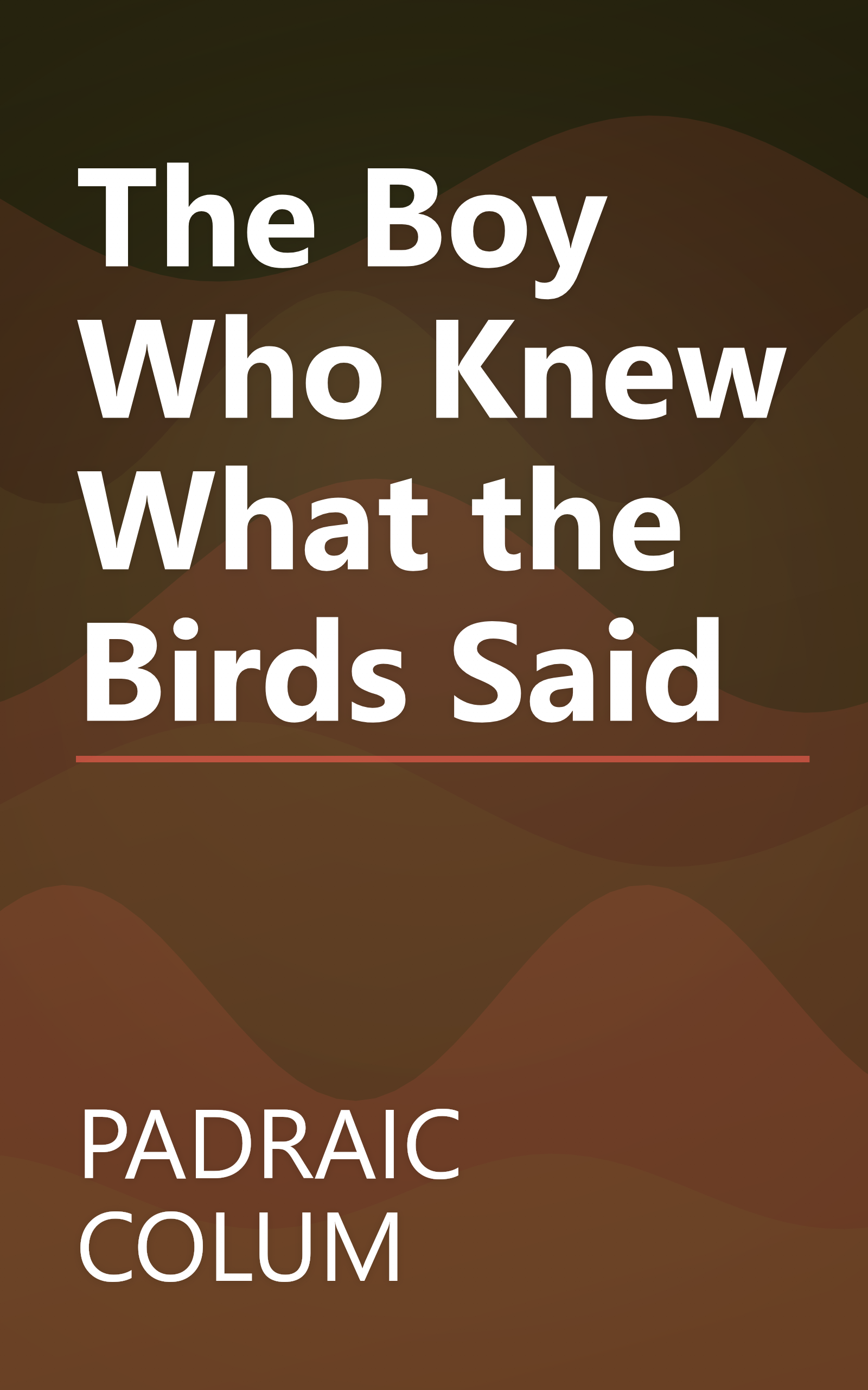 The Boy Who Knew What the Birds Said book cover