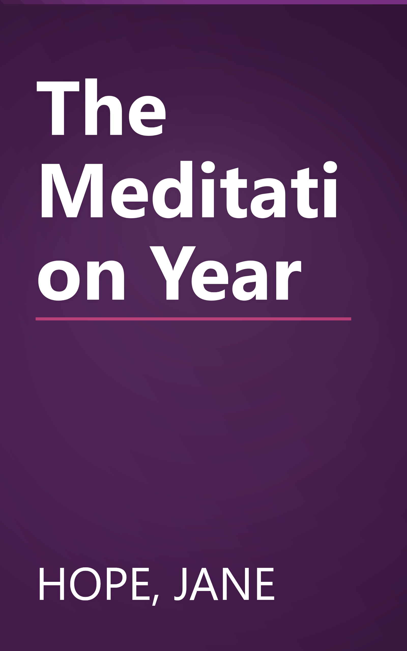 The Meditation Year book cover