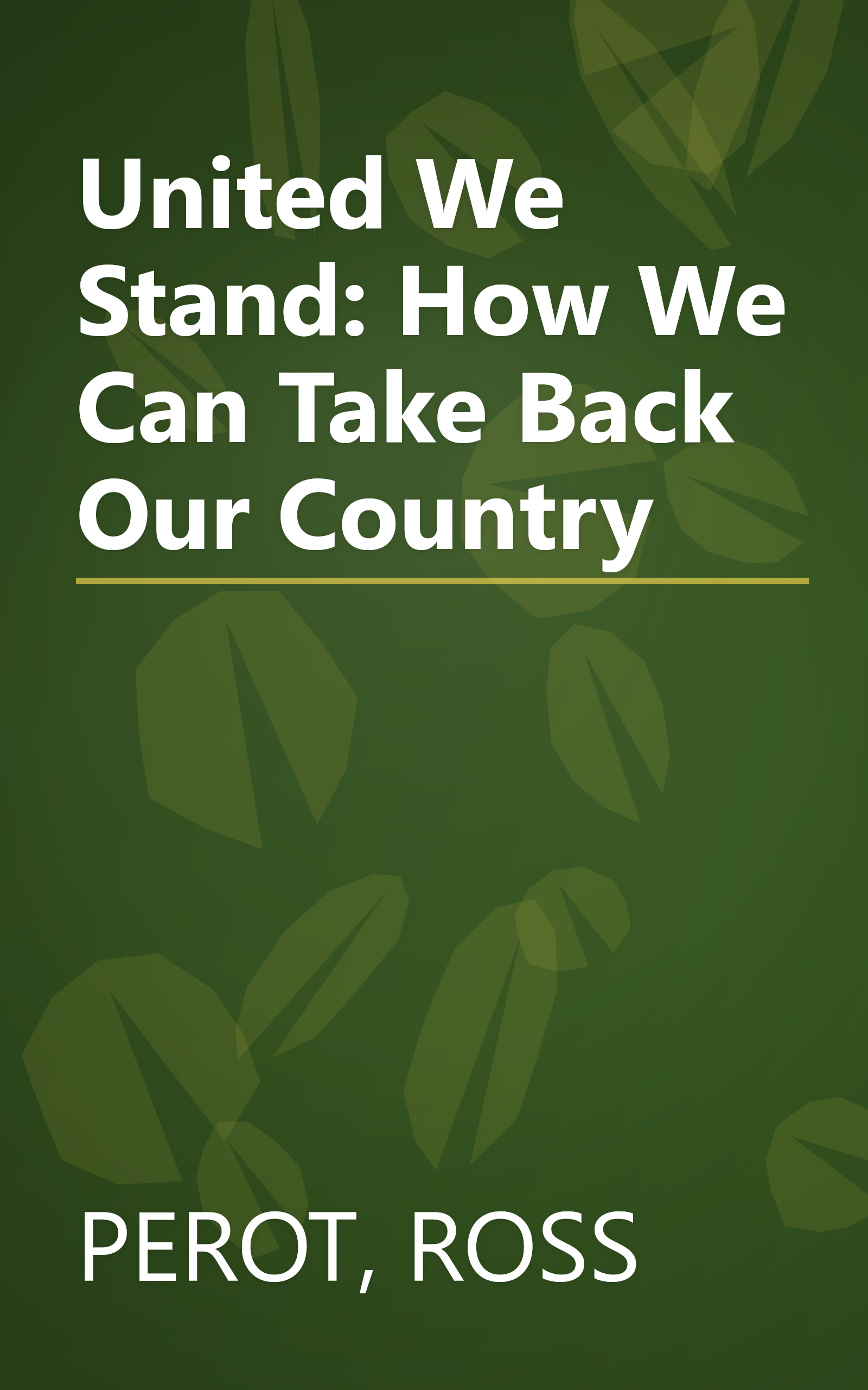 United We Stand: How We Can Take Back Our Country book cover