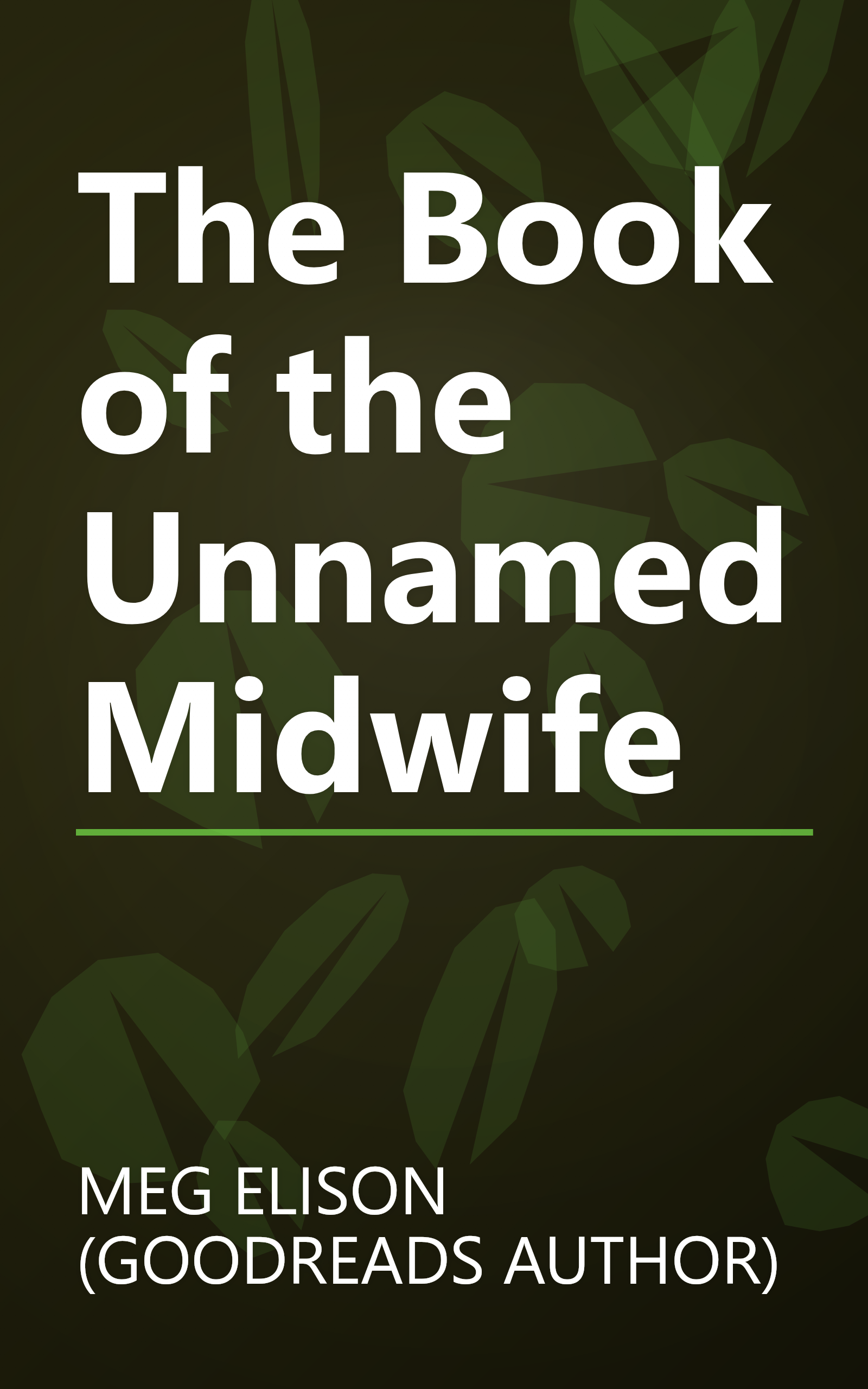 The Book of the Unnamed Midwife book cover