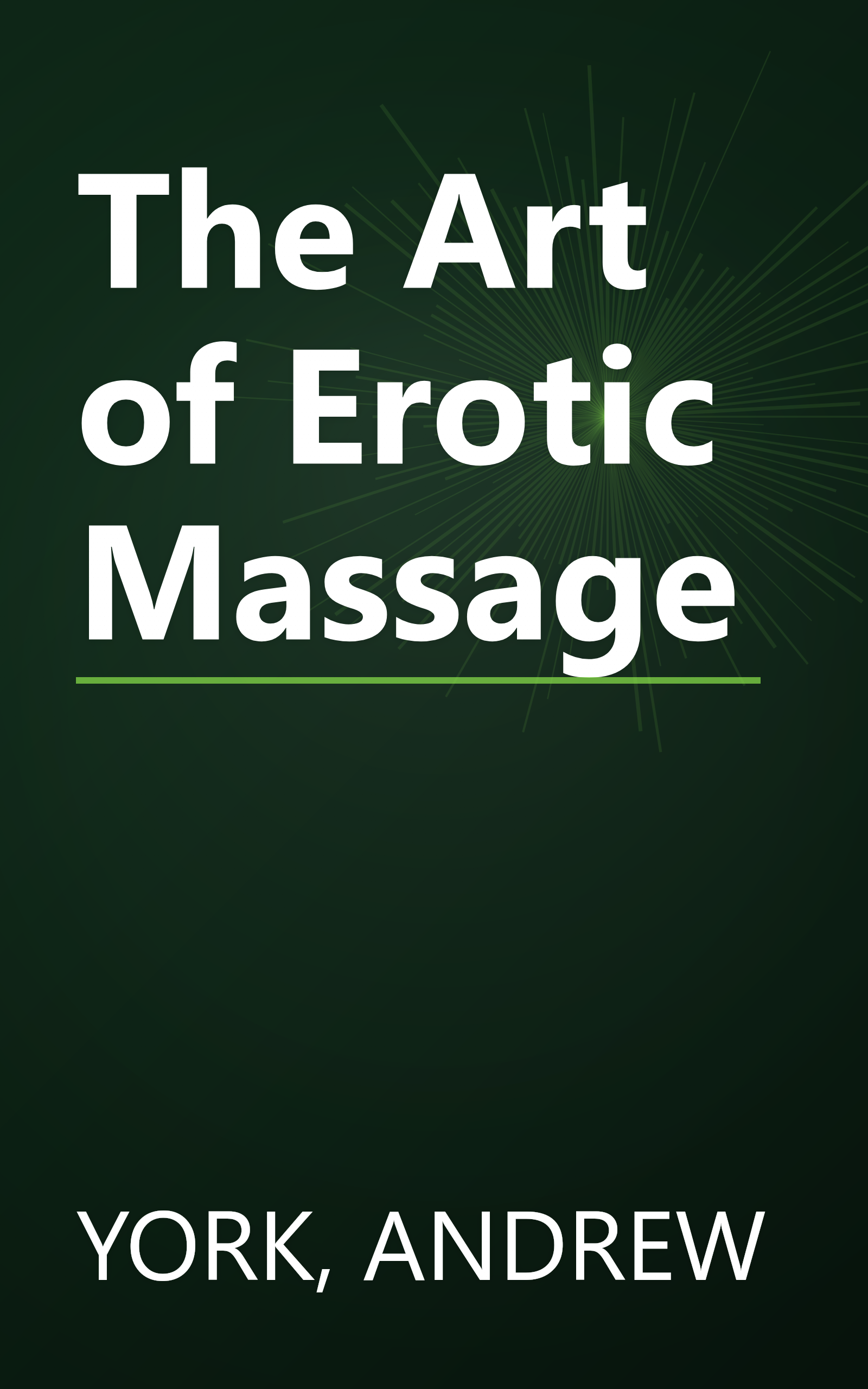 The Art of Erotic Massage book cover