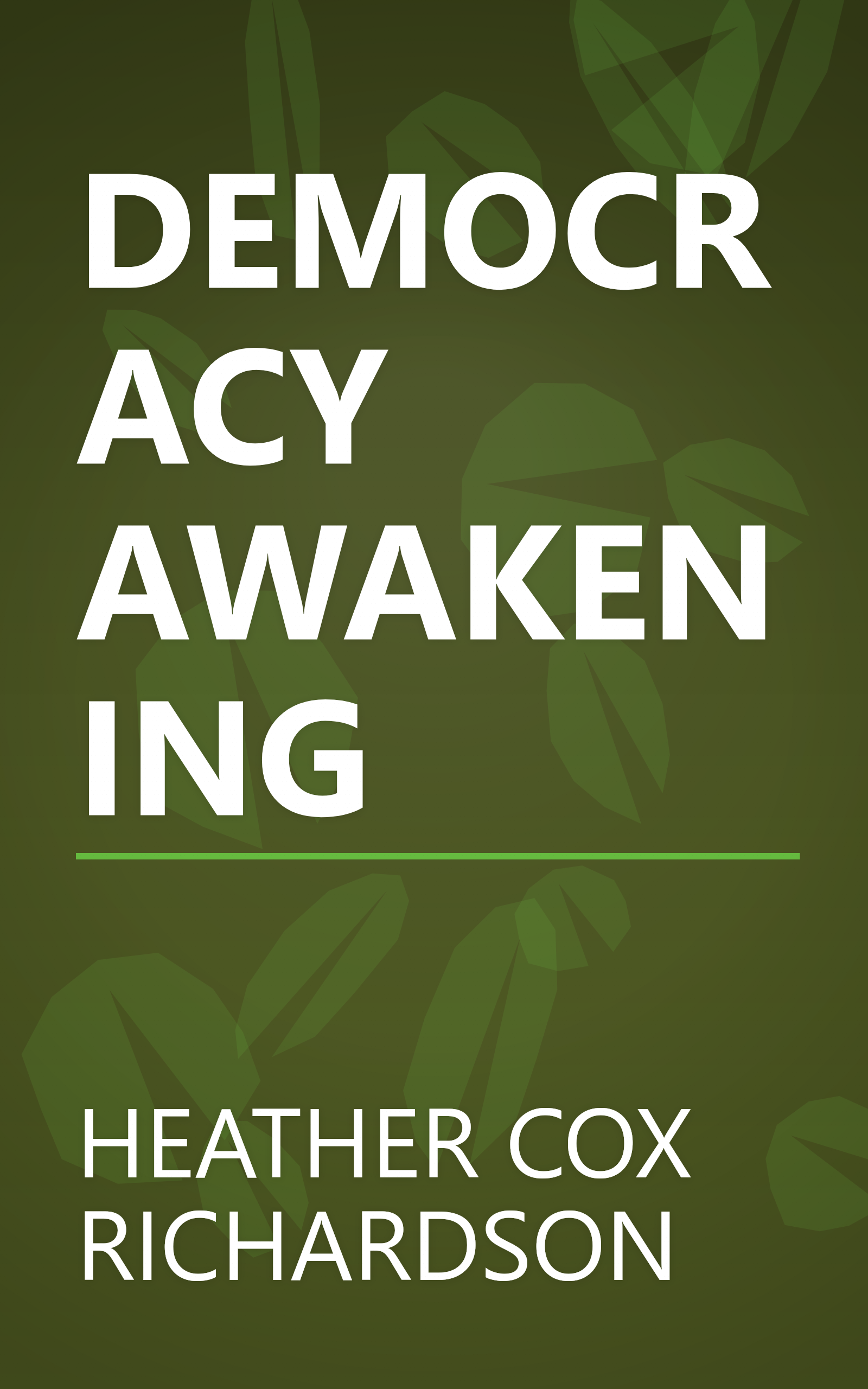 DEMOCRACY AWAKENING book cover