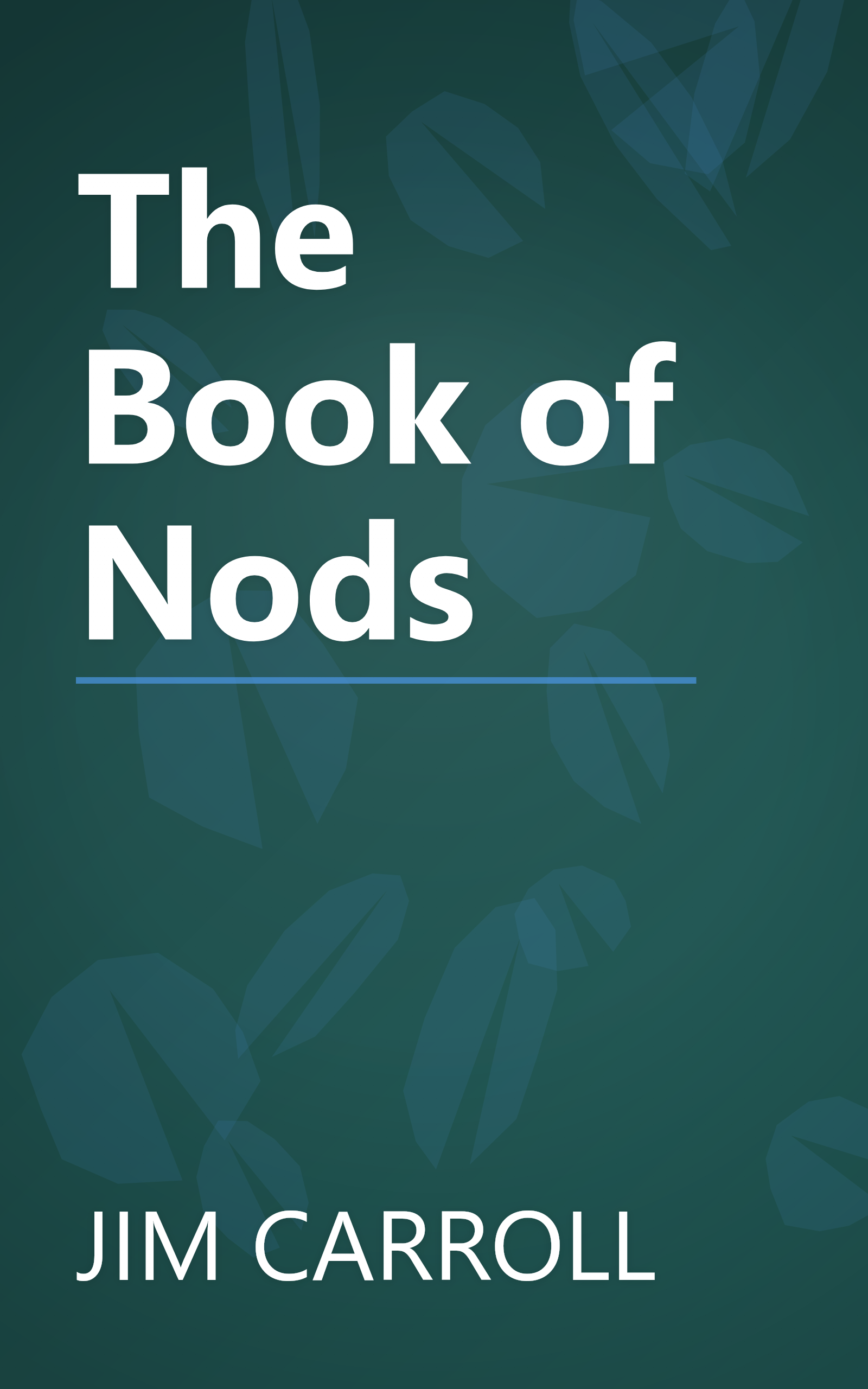 The Book of Nods book cover