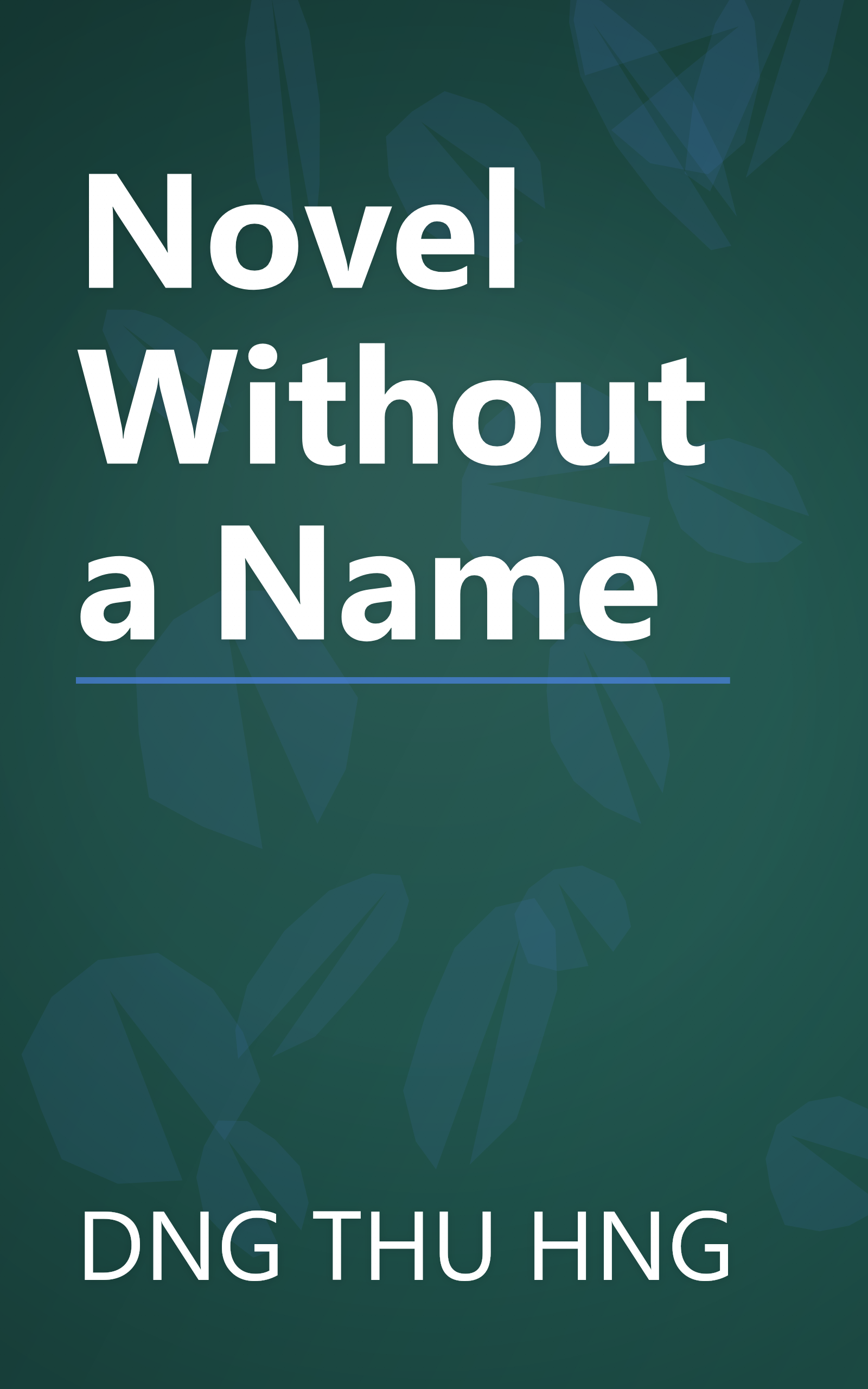 Novel Without a Name book cover