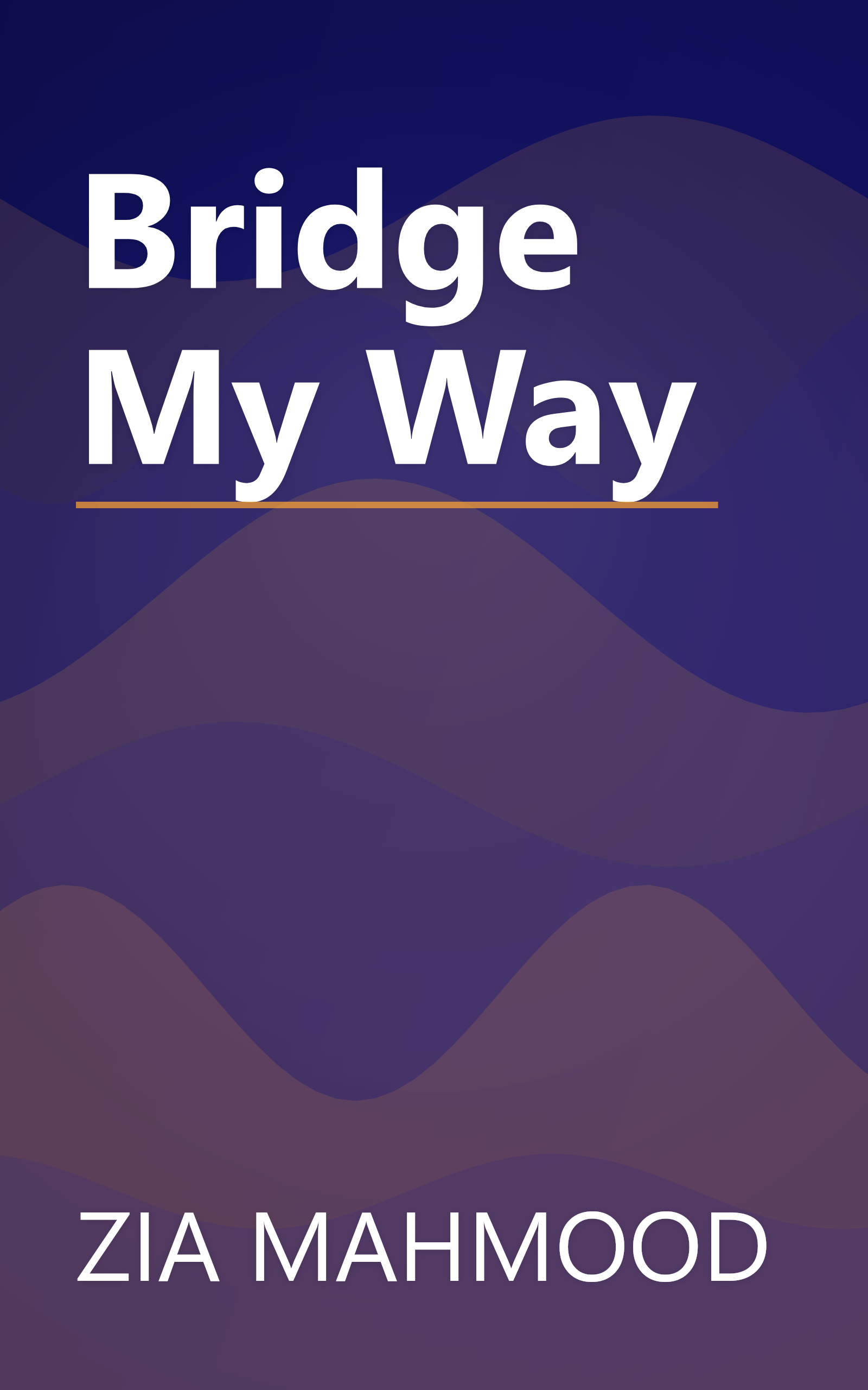 Bridge My Way book cover