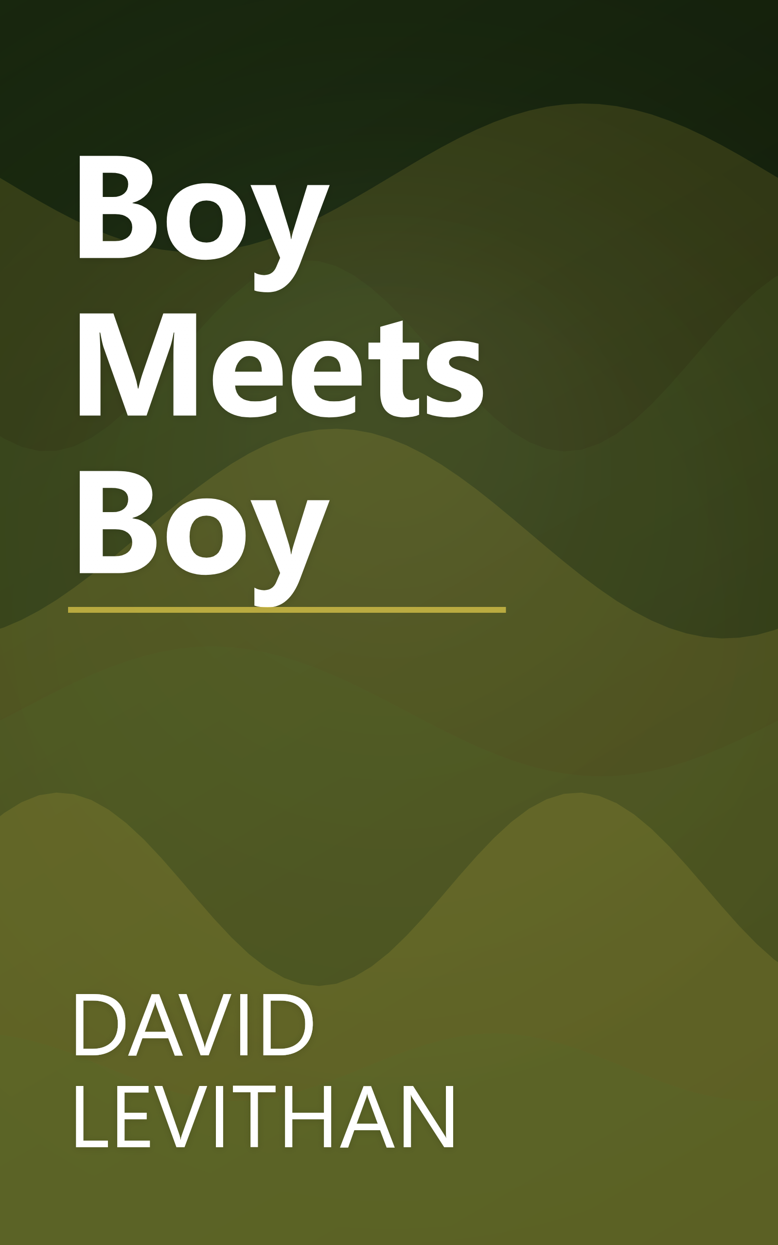 Boy Meets Boy book cover
