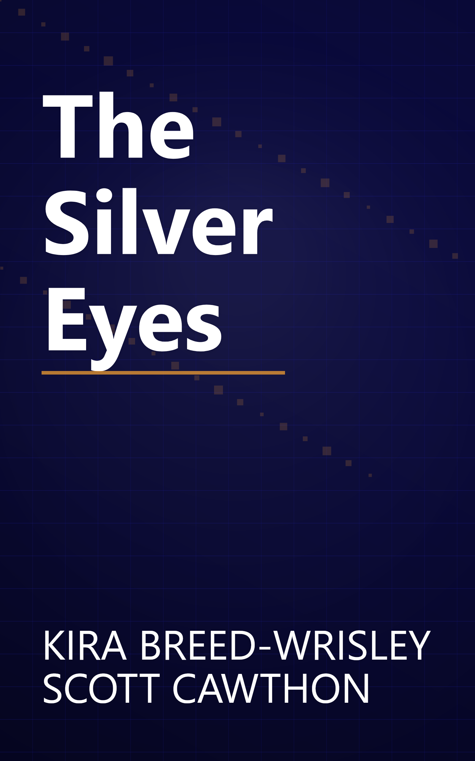 The Silver Eyes book cover