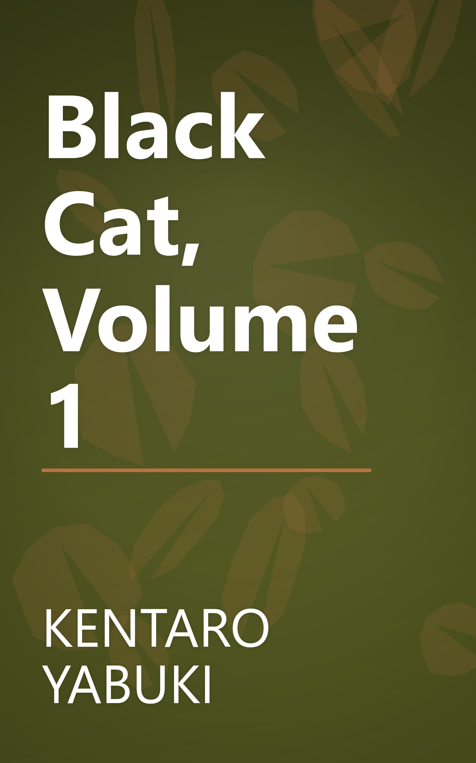 Black Cat, Volume 1 book cover