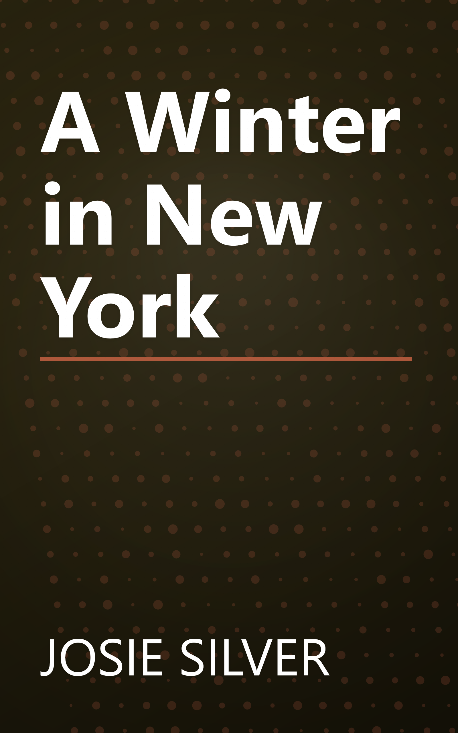 A Winter in New York book cover