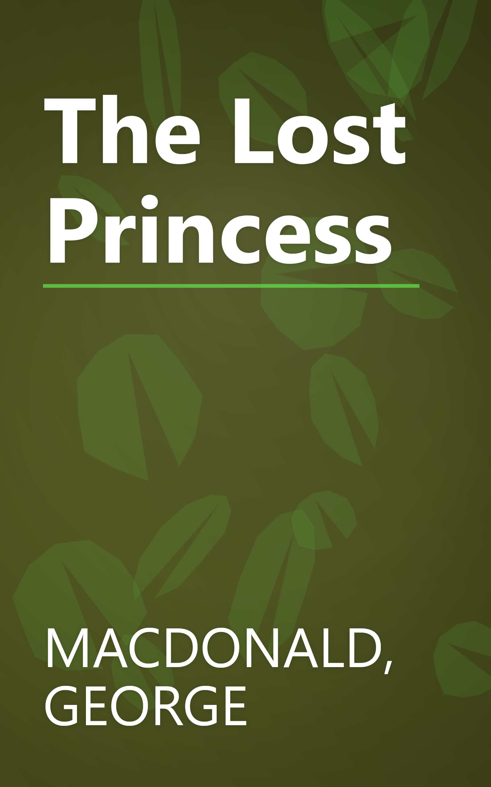 The Lost Princess book cover