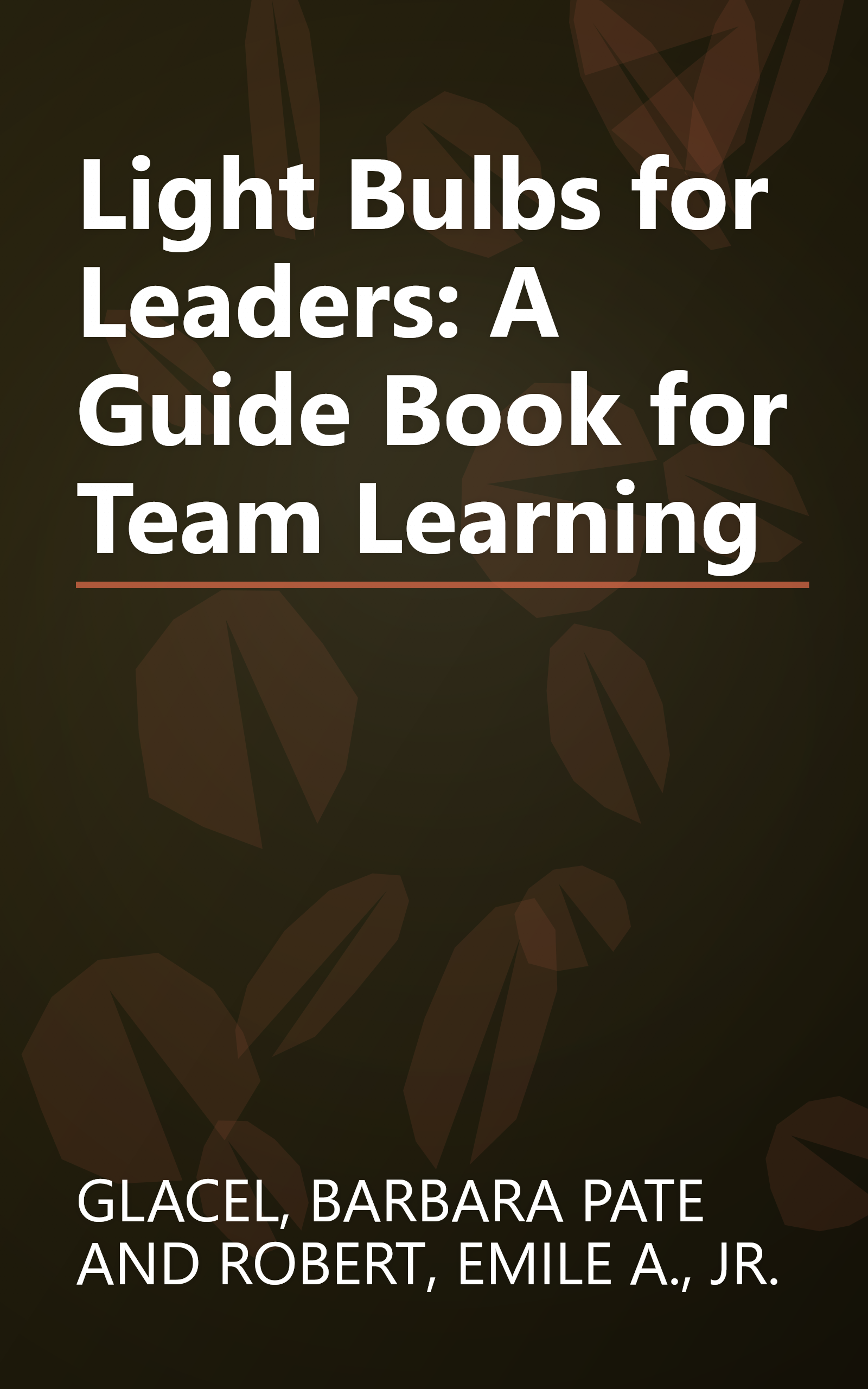 Light Bulbs for Leaders: A Guide Book for Team Learning book cover
