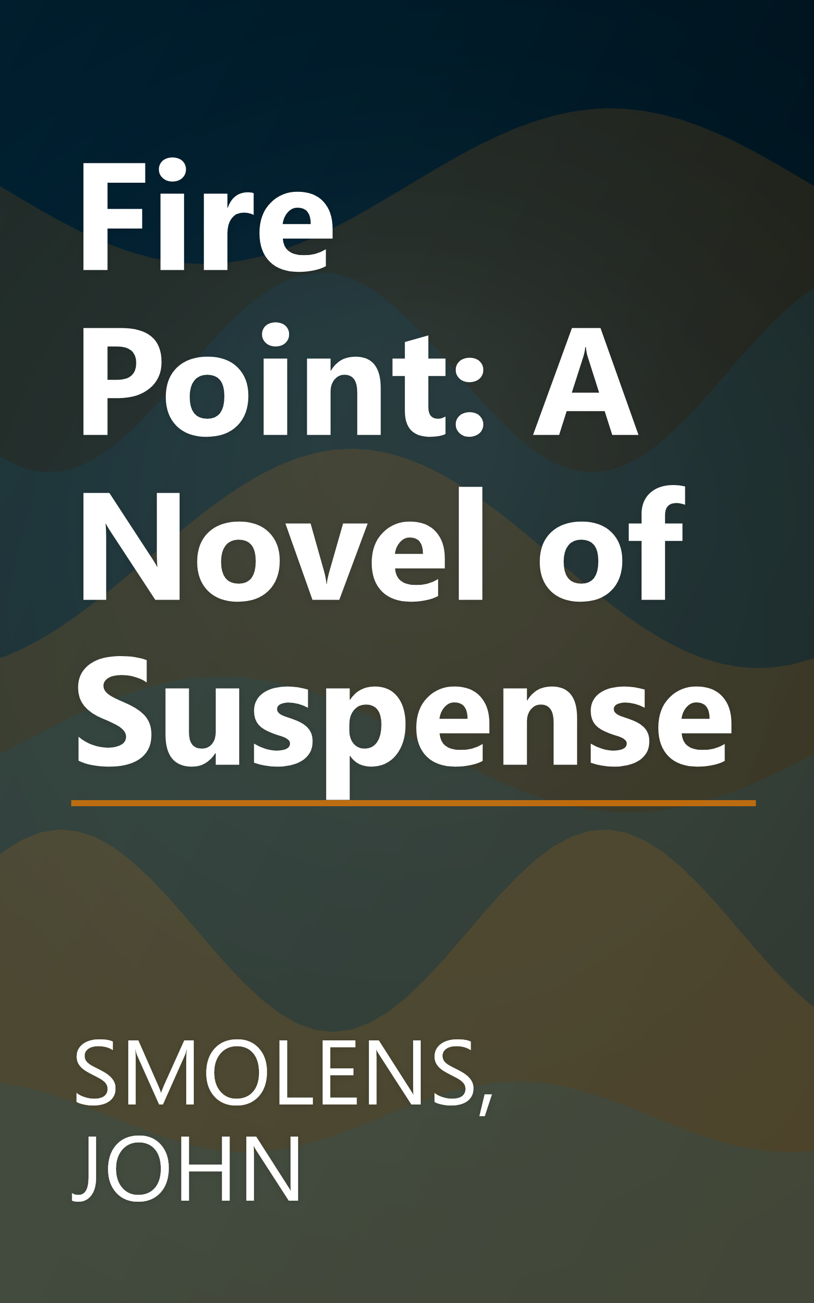 Fire Point: A Novel of Suspense book cover