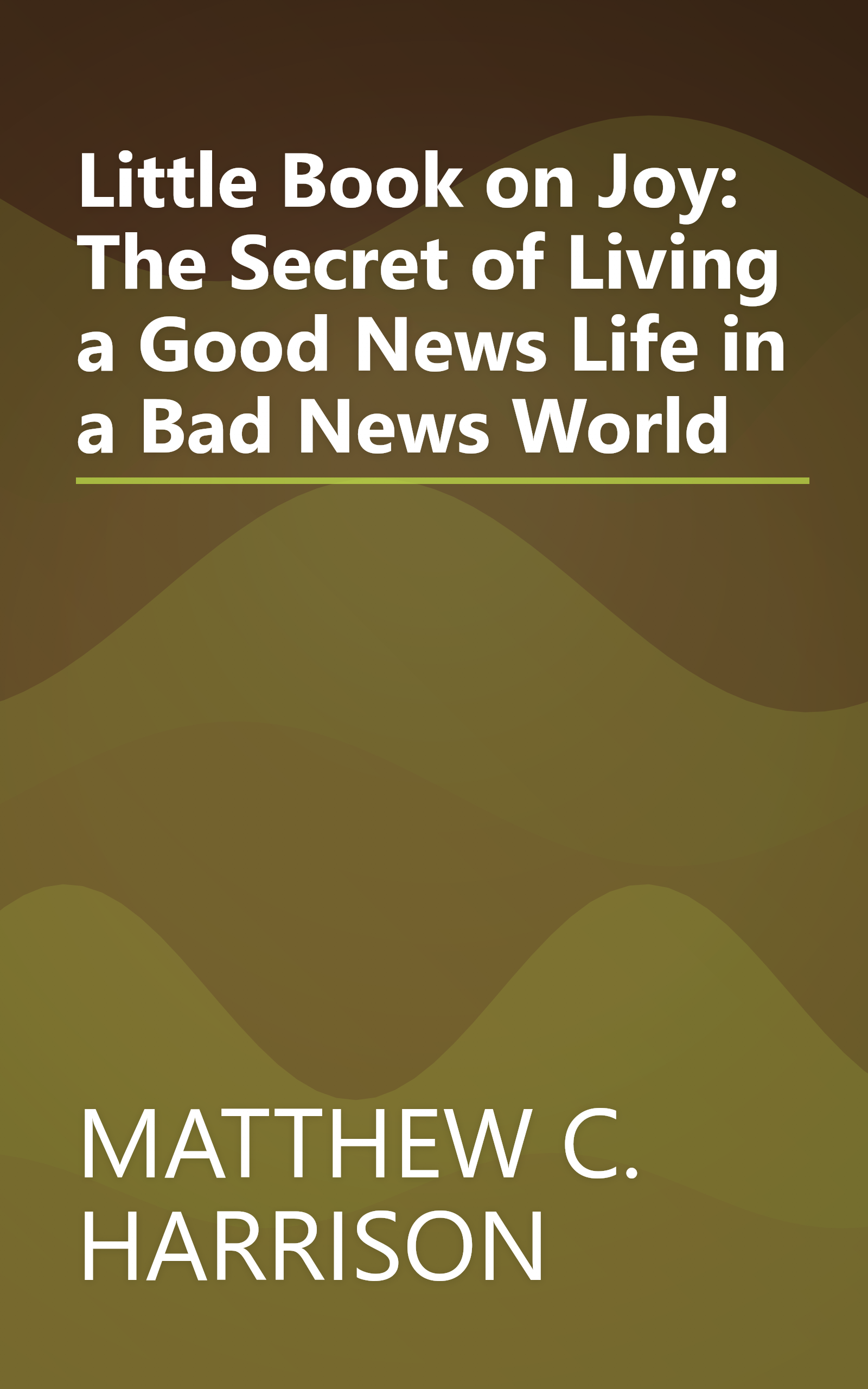 Little Book on Joy: The Secret of Living a Good News Life in a Bad News World book cover