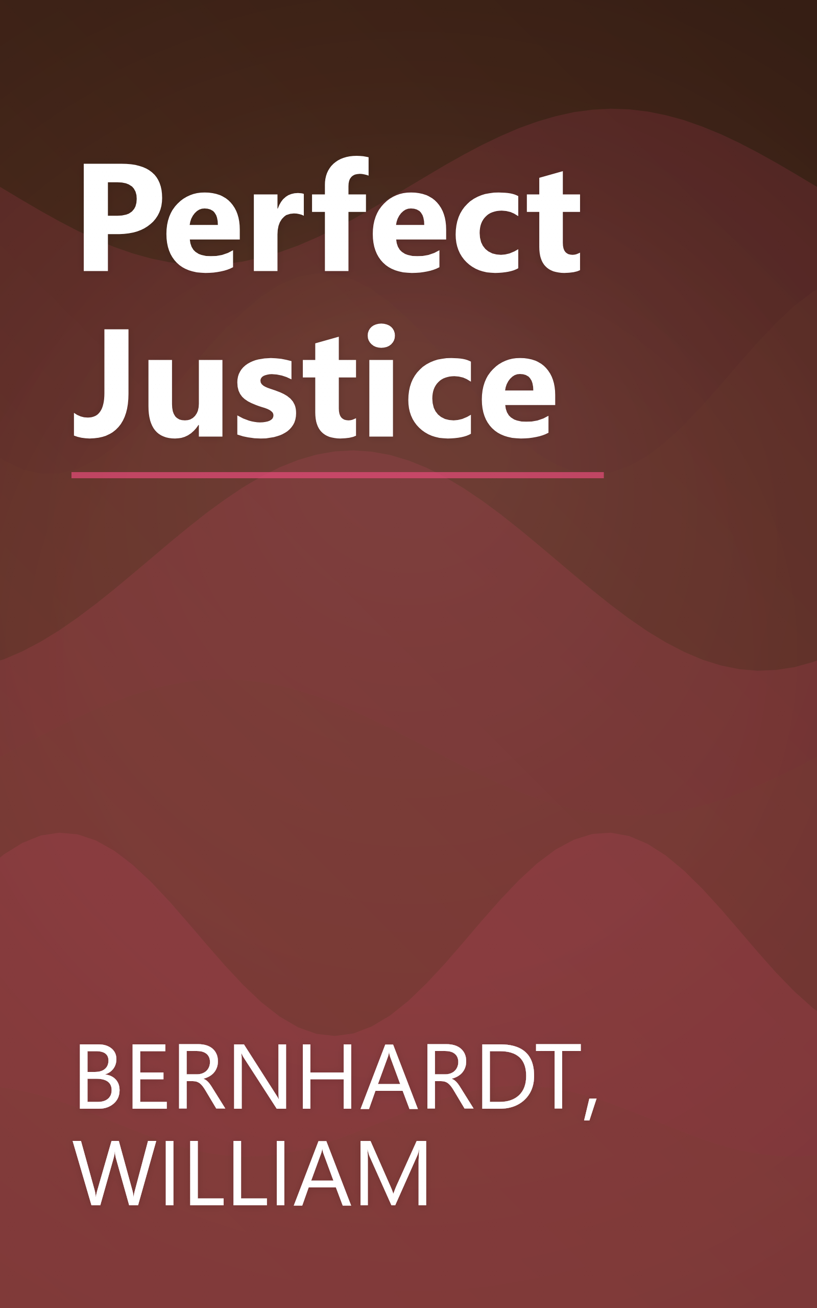 Perfect Justice book cover