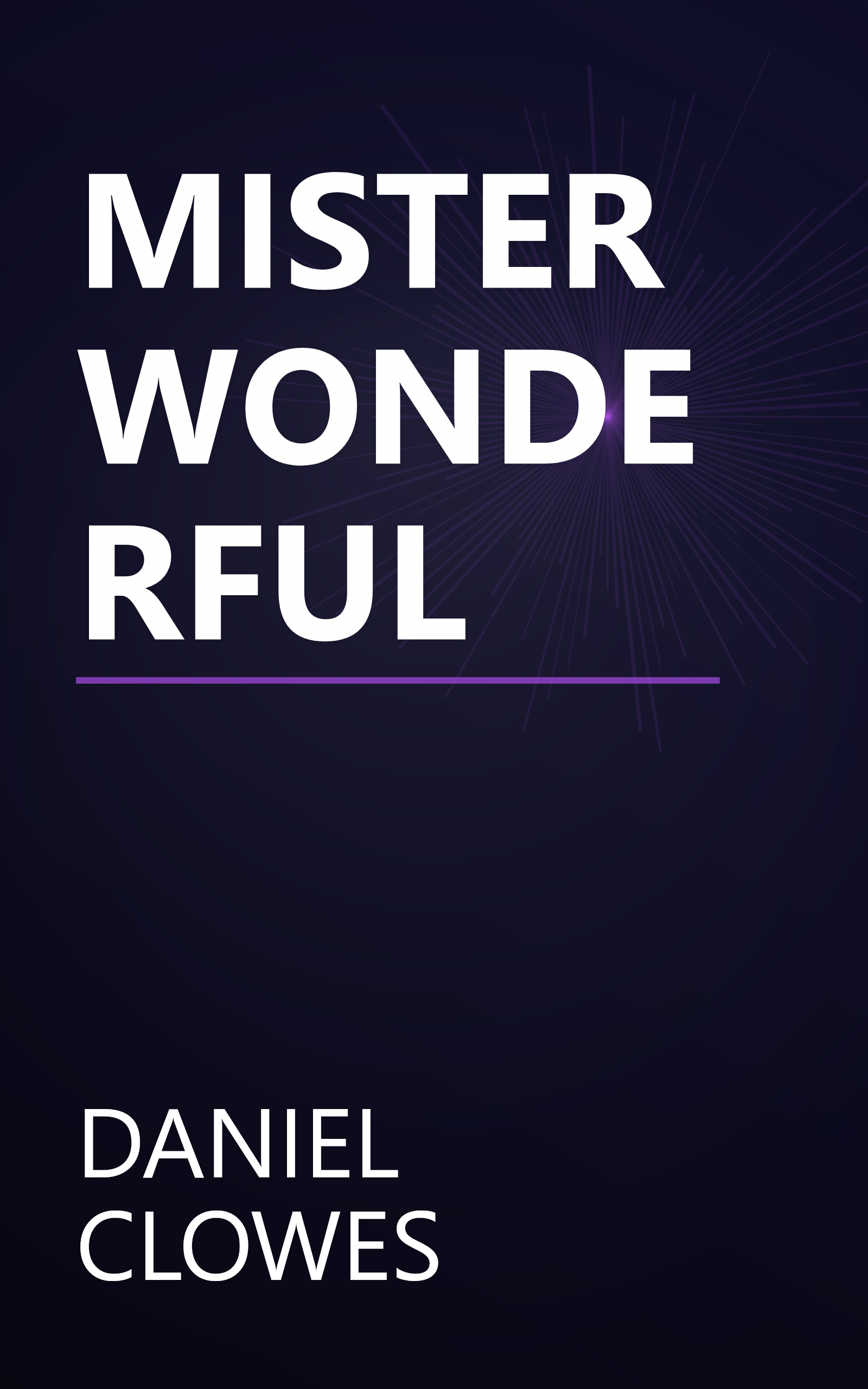 MISTER WONDERFUL book cover