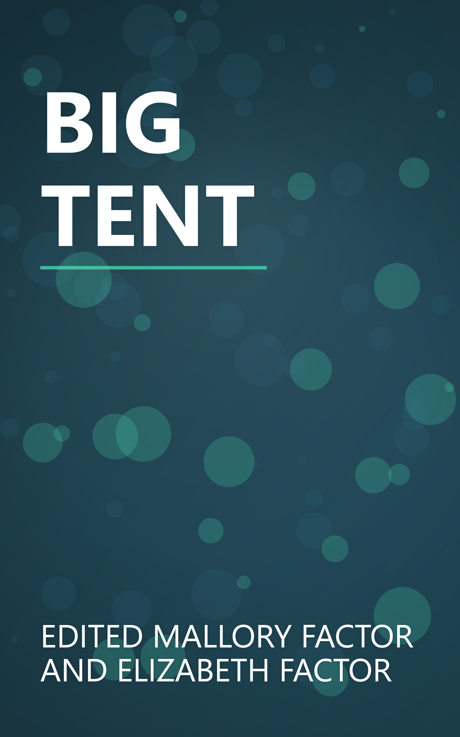 BIG TENT book cover